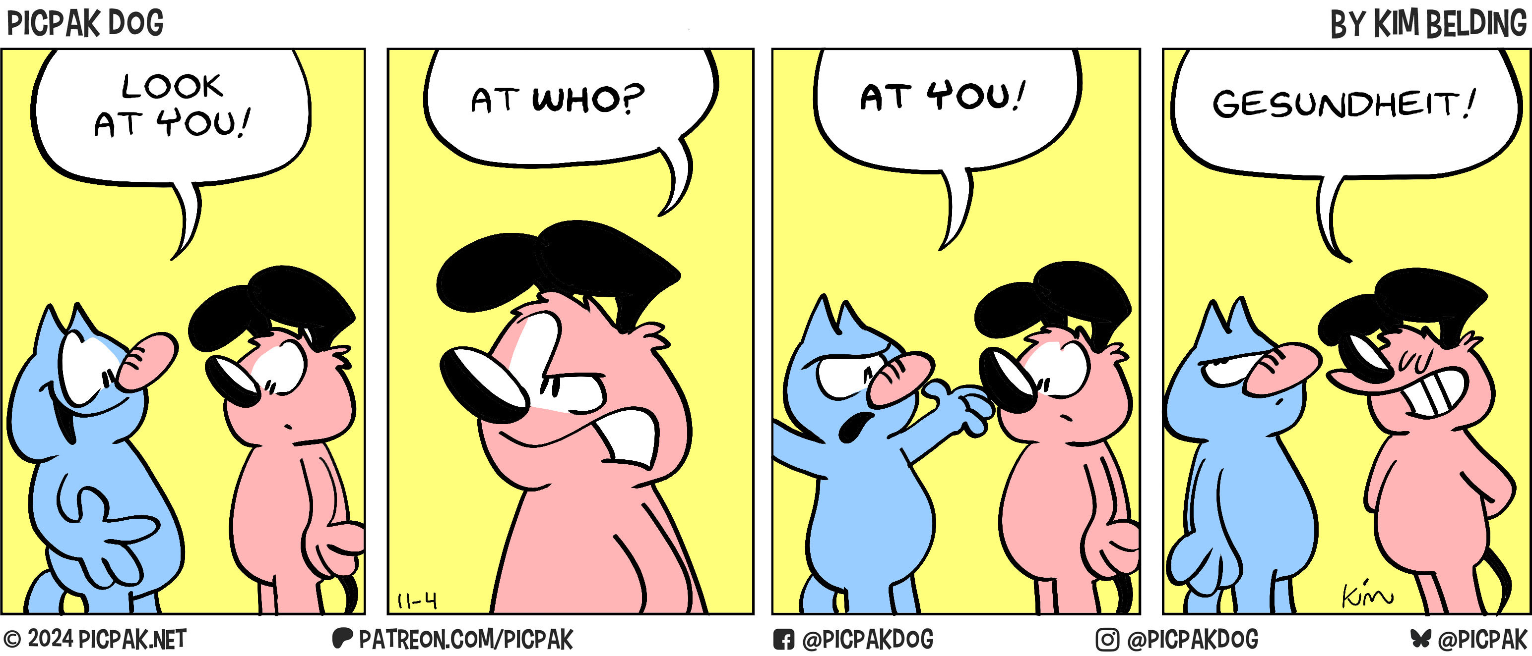 Look - by Kim Belding - Picpak Dog