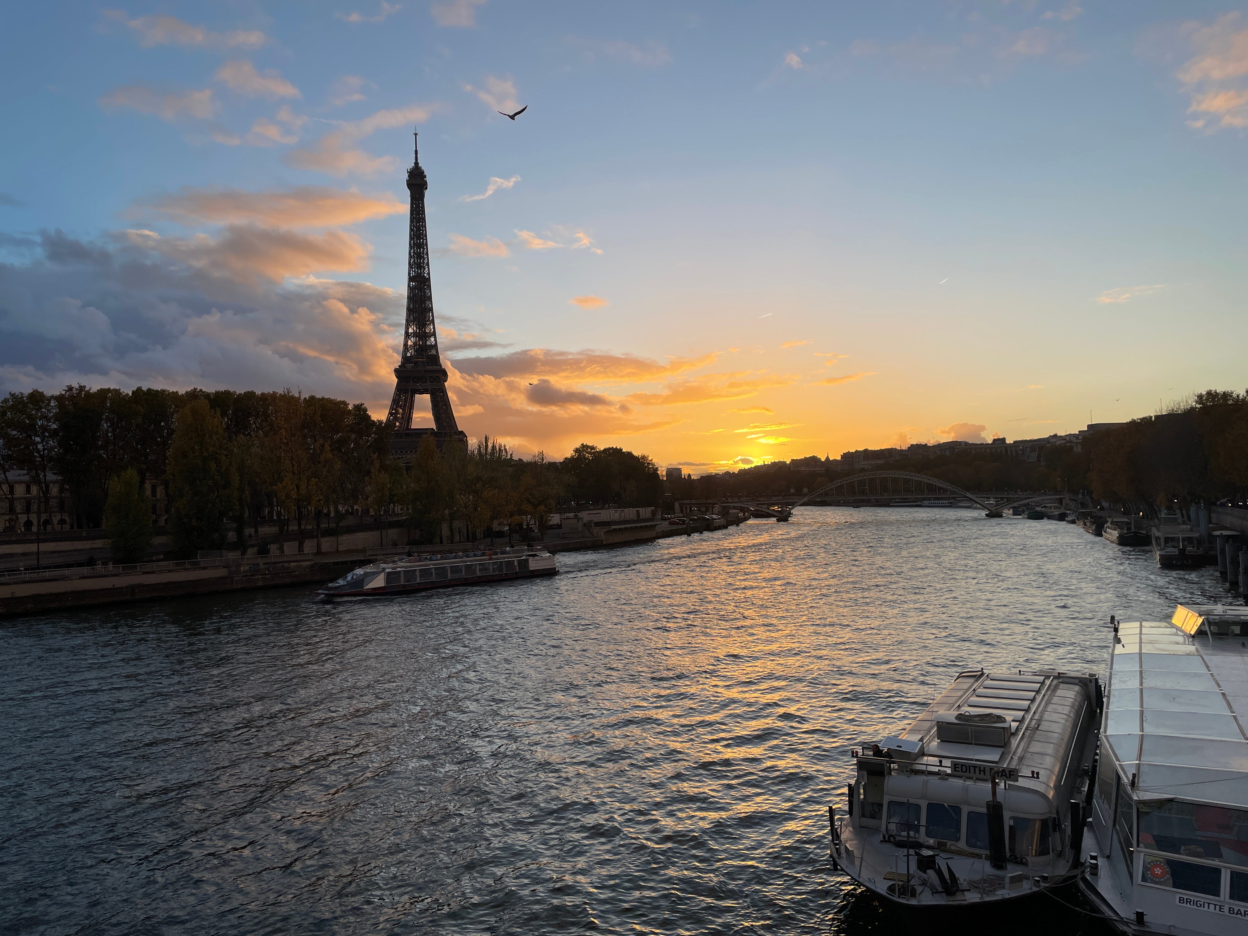 Paris at 35, Palestine at 36 - by Summer Suleiman