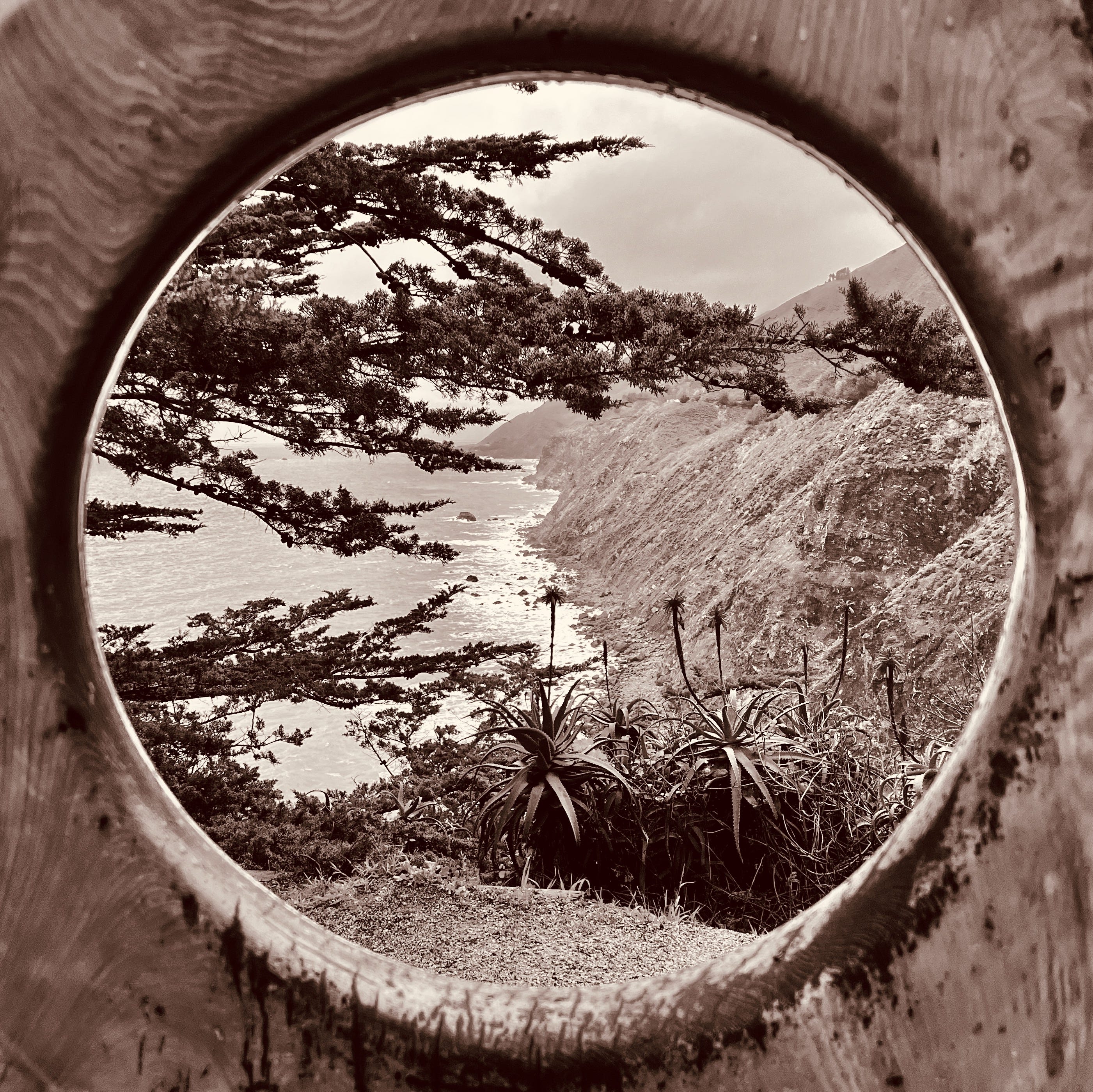 Sunday (on Monday) Stories: Are You Paying Attention?