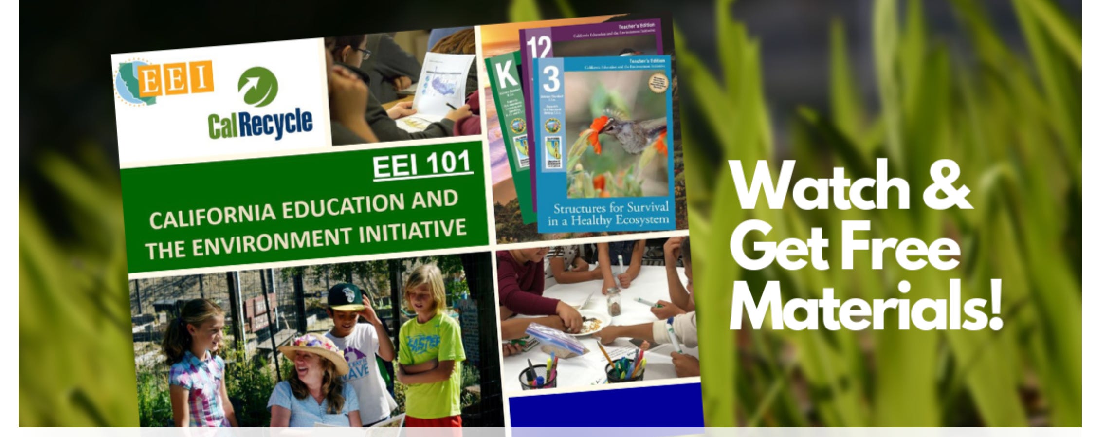 🌎 Our six favorite environmental science programs for kids (and grownups).