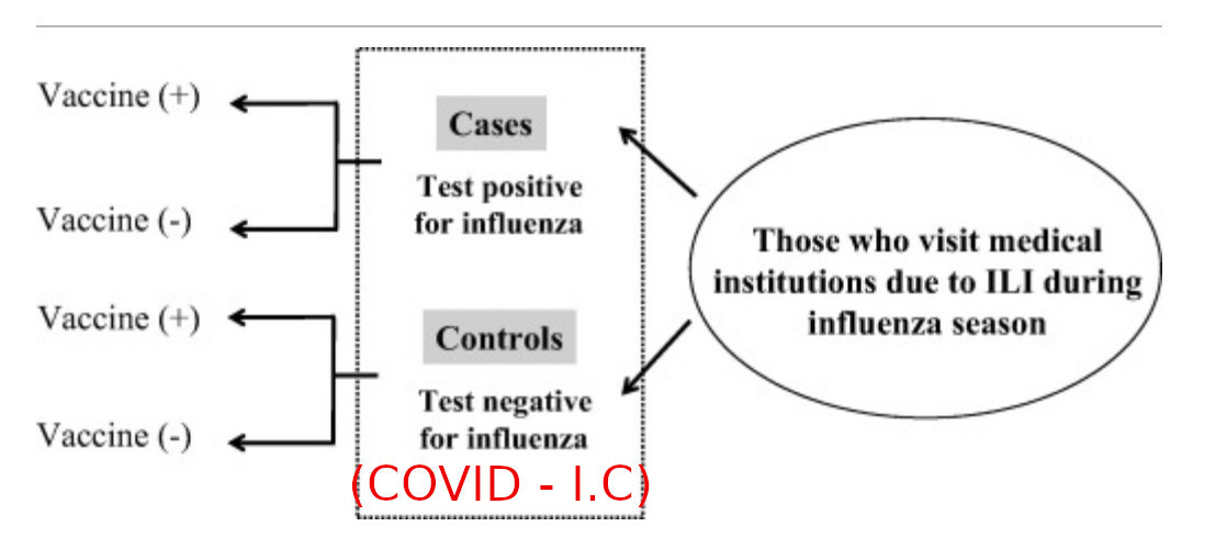 Huge Veterans Study: COVID and Flu Vaccines are Useless at Preventing ...