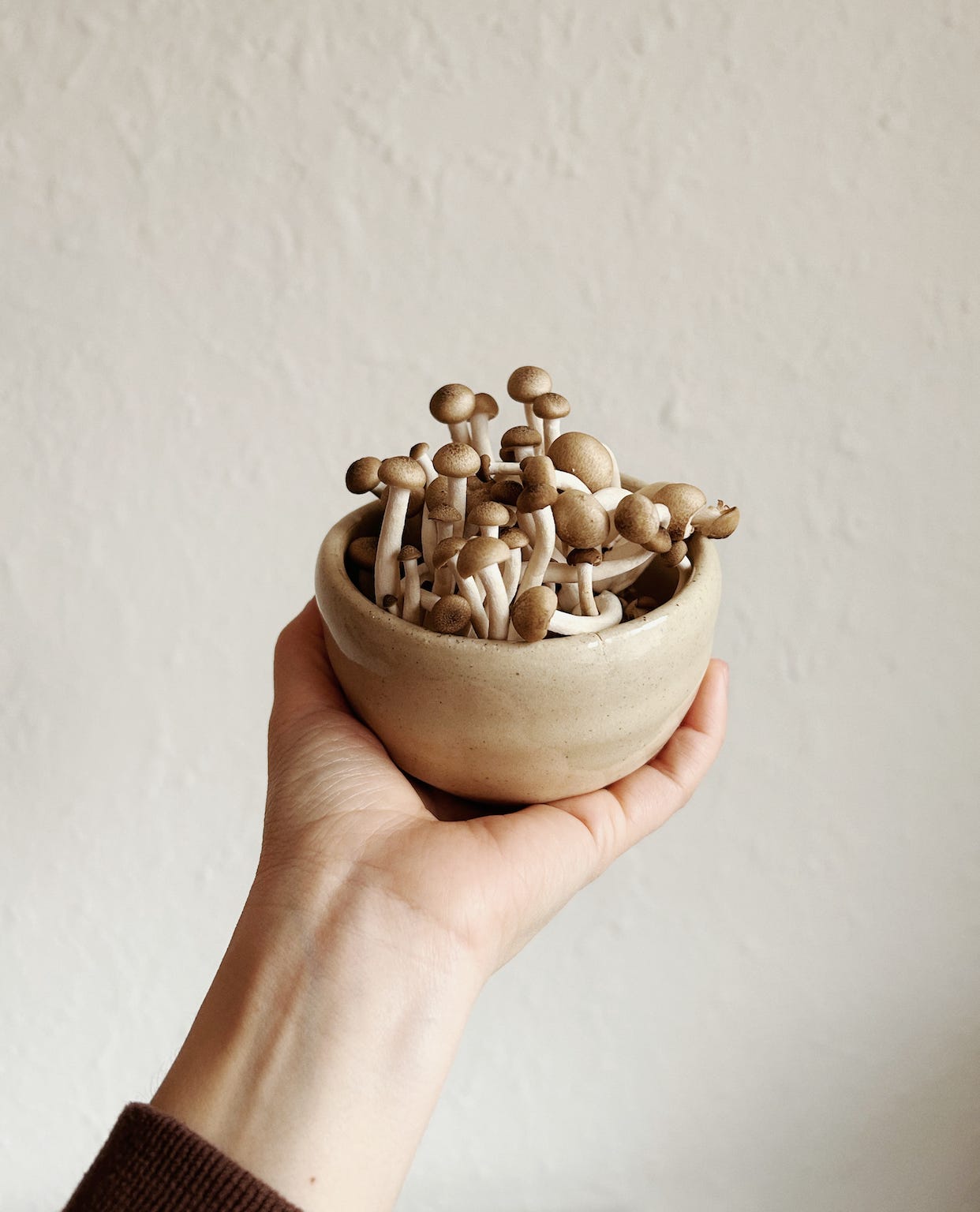 Brown Clamshell Mushroom Love + Recipe: Mushroom & Tarragon Grain Bowl