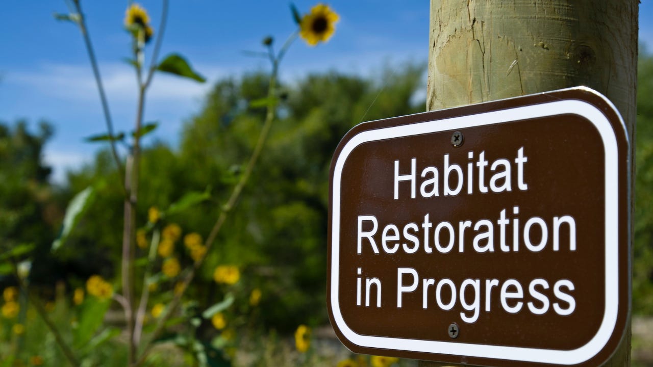 Fieldwork: Why mosaic habitats? - by Suw Charman-Anderson