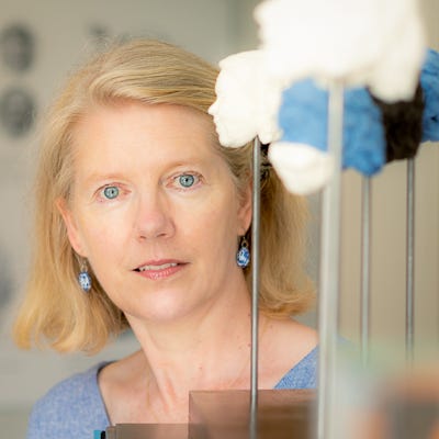 Emma Darwin | Substack