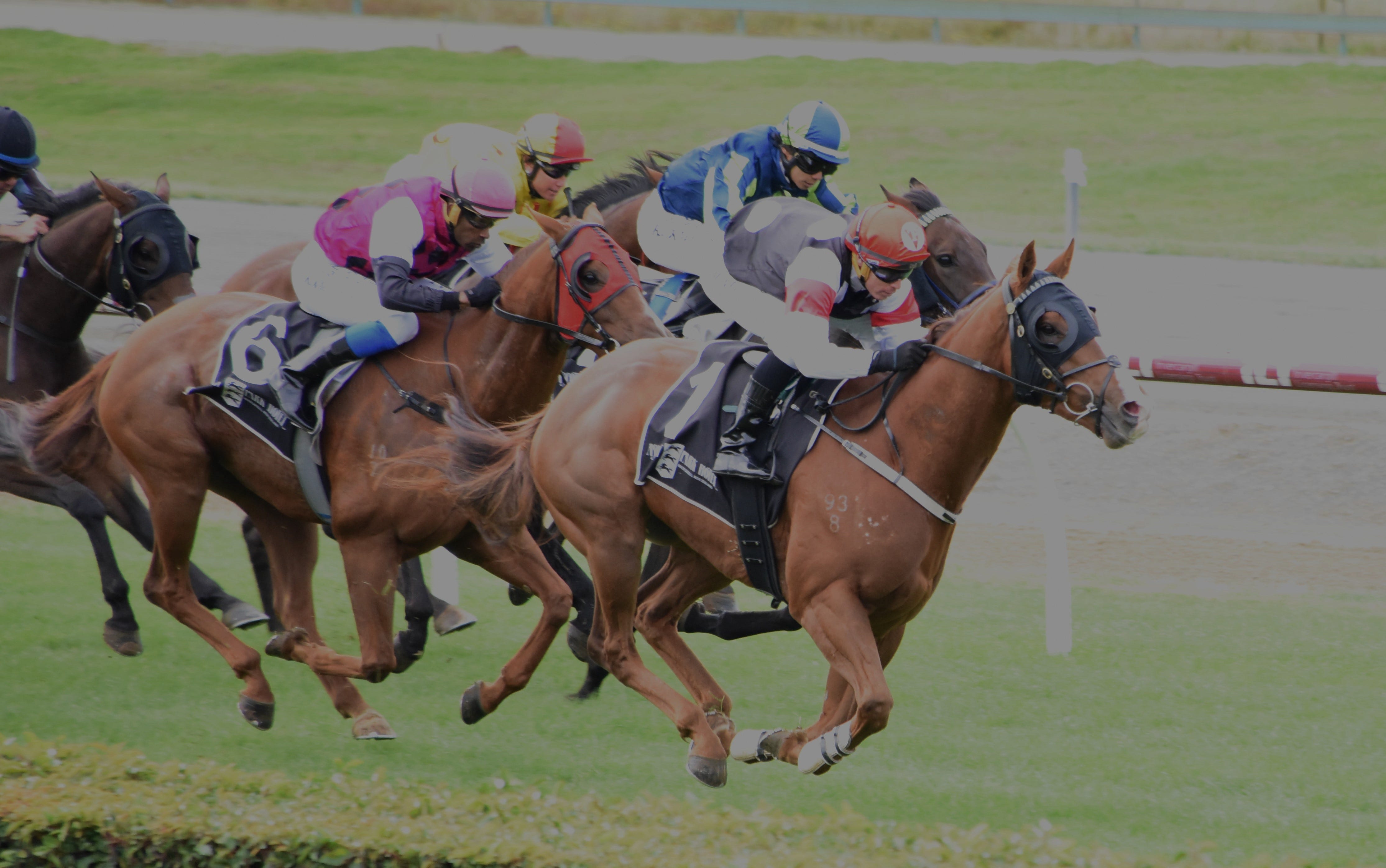 Family history behind the naming of racehorse Henry Hubber