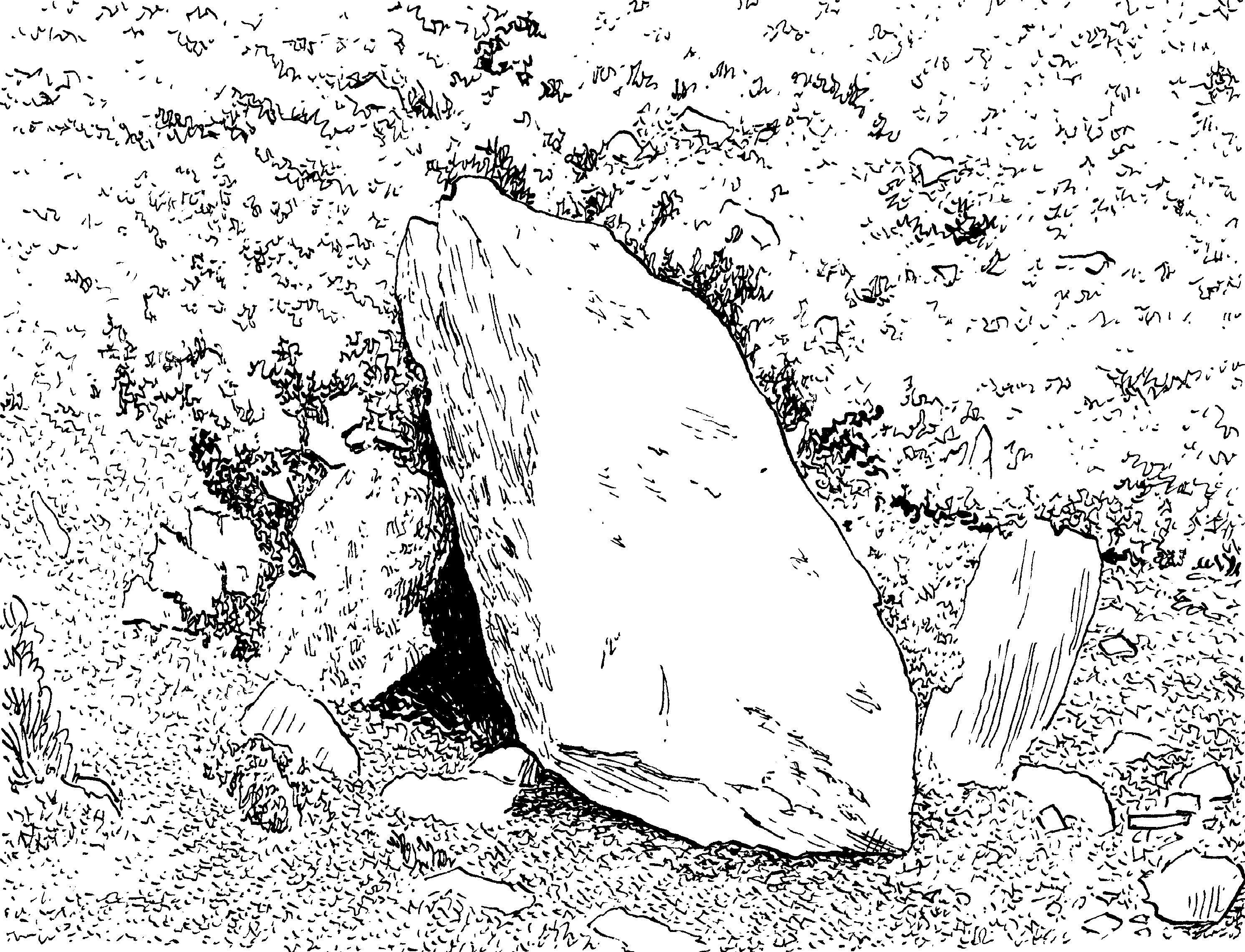 Hefted newsletter #2: August 2024