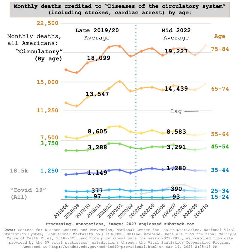 Checking back on US cardiac deaths - by Brian Mowrey