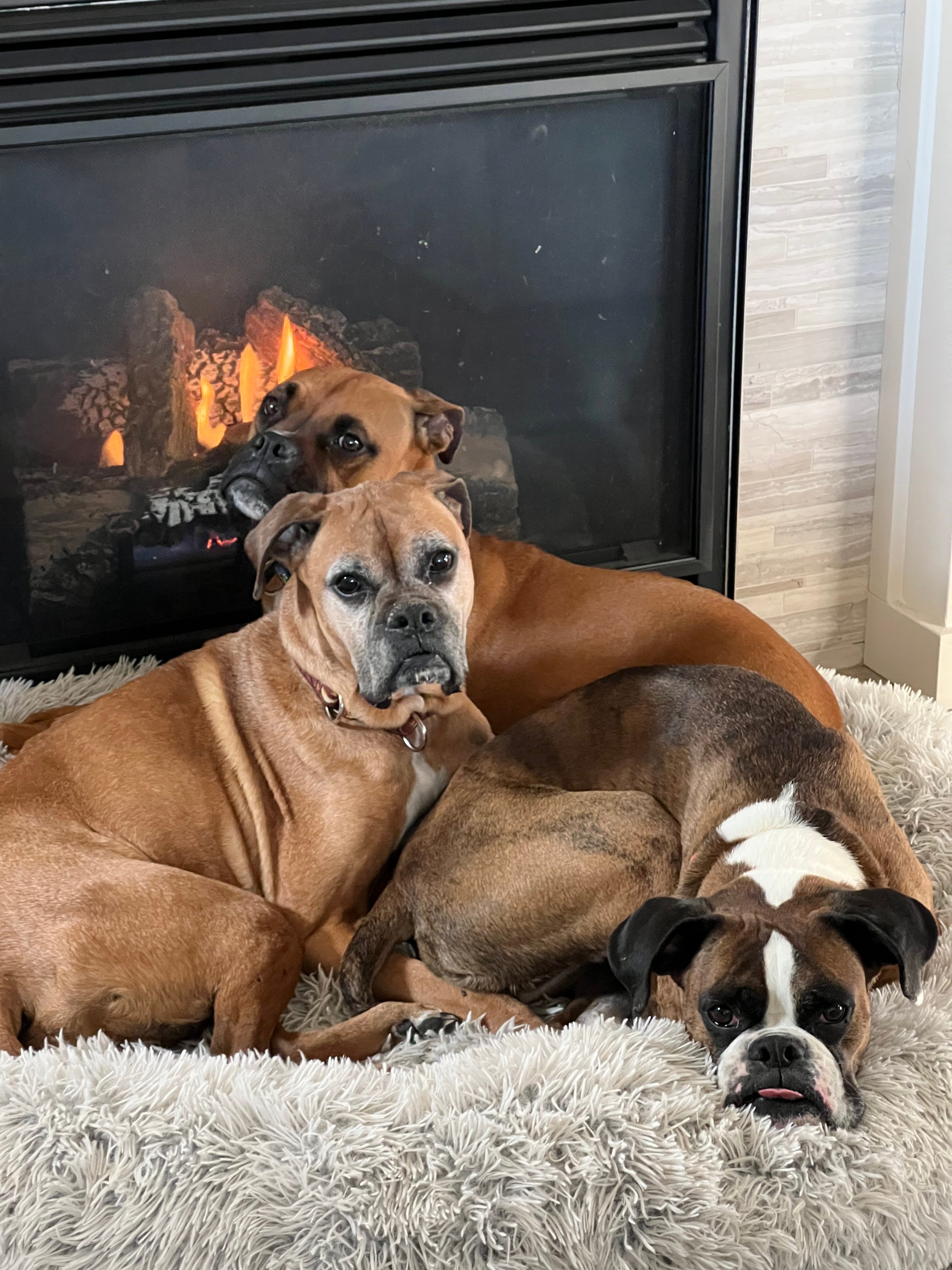 Remembering Rigley - by Pilgrim Rebel