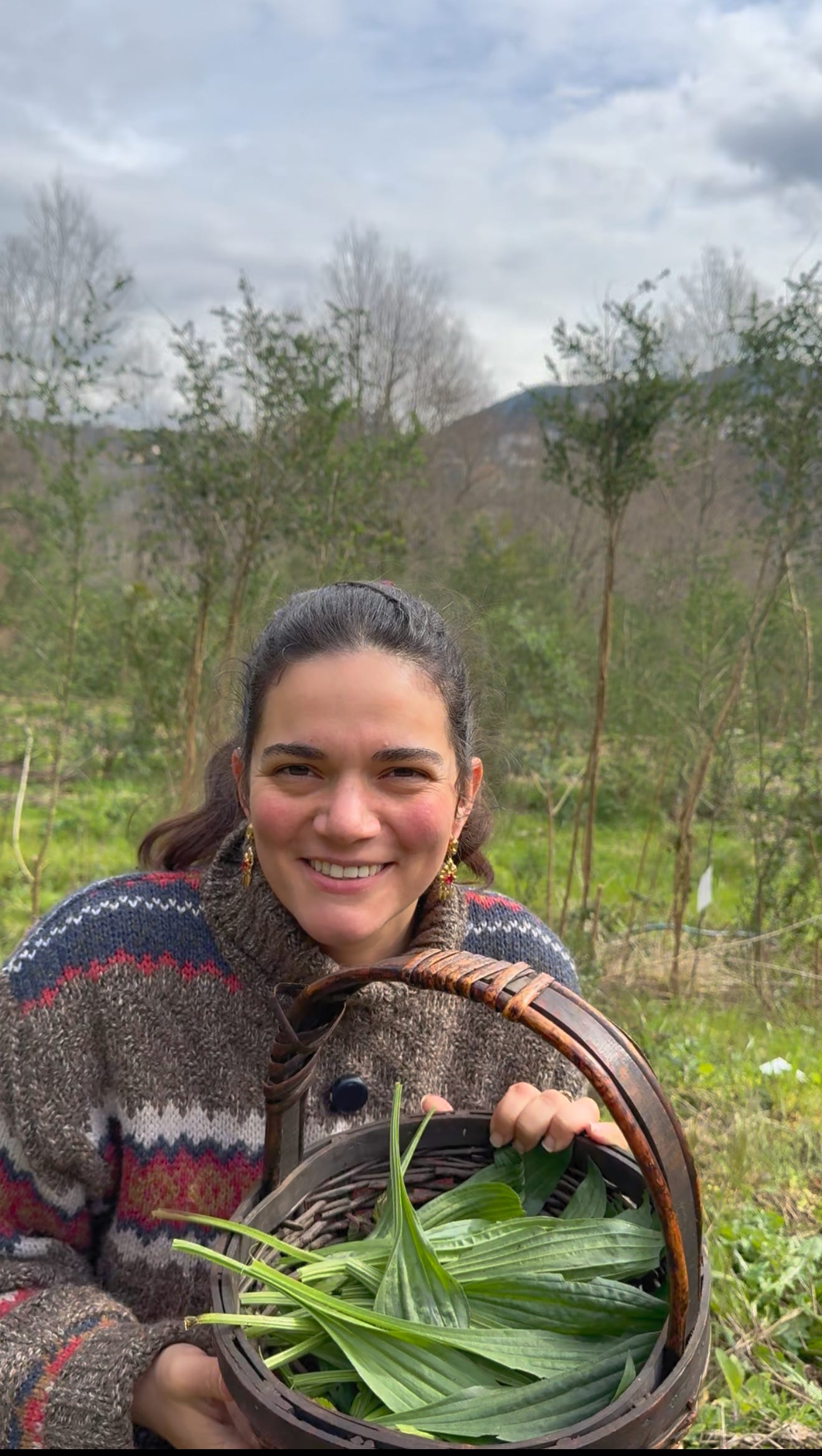 Alice Montanha | Substack