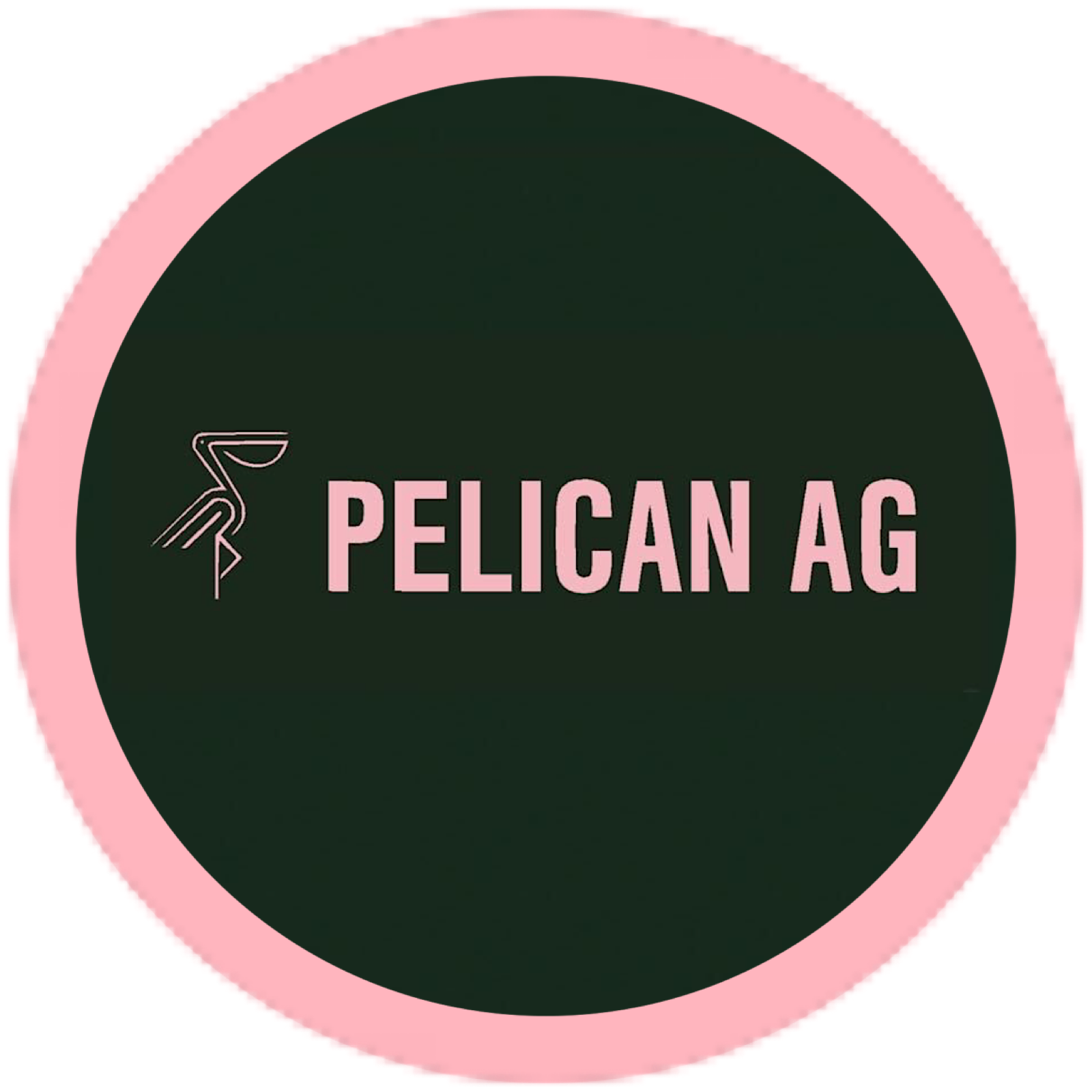 PELICAN AG | Substack