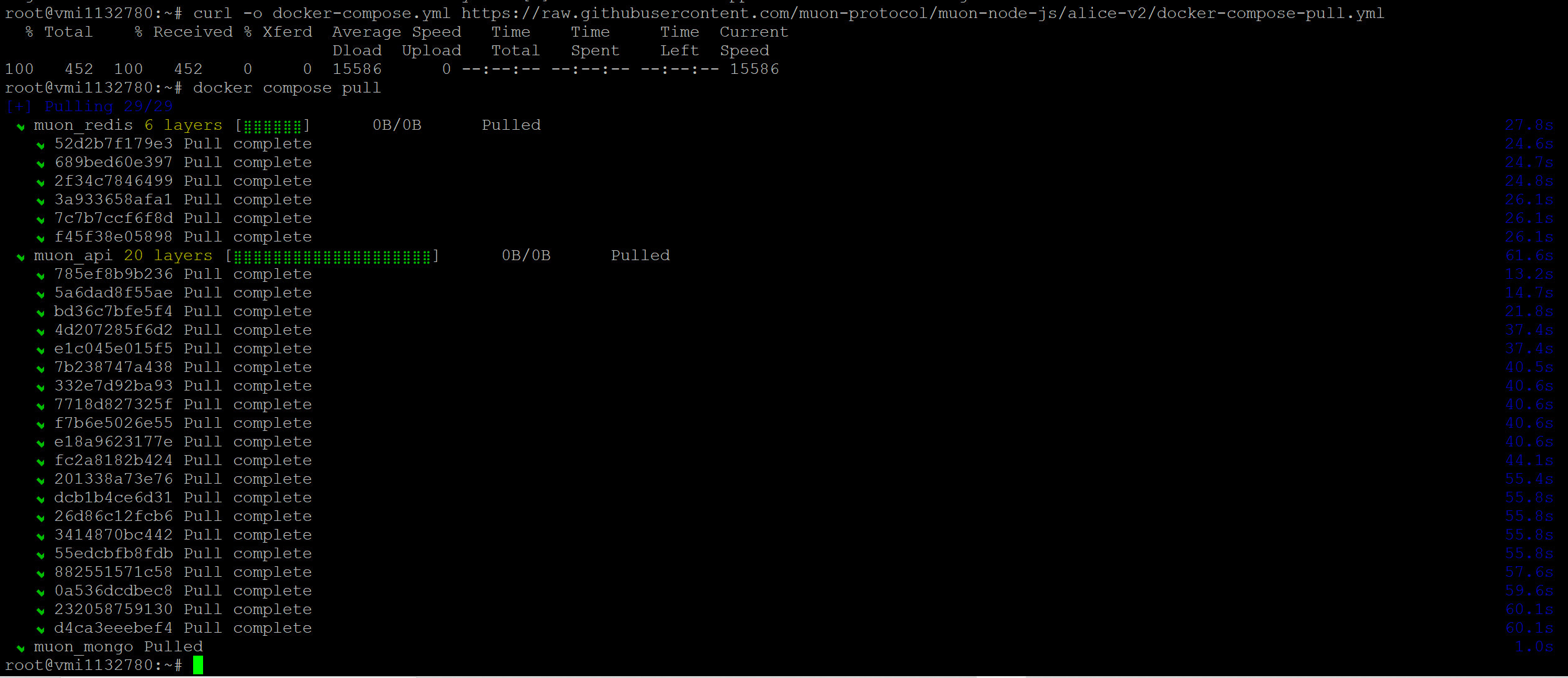 MUON: Hướng dẫn cài đặt Node Alice-v2 - by VNBnodes