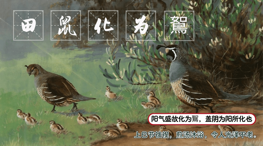 Moles Turn into Quail - by Leanne Ogasawara