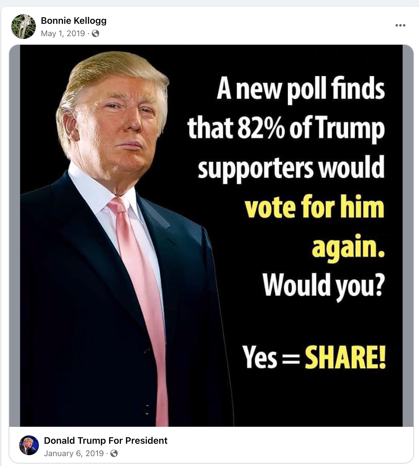 Bonnie Kellogg - by Justin Glawe - American Doom