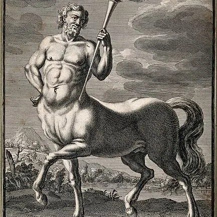 Dr Paul Winter | Substack