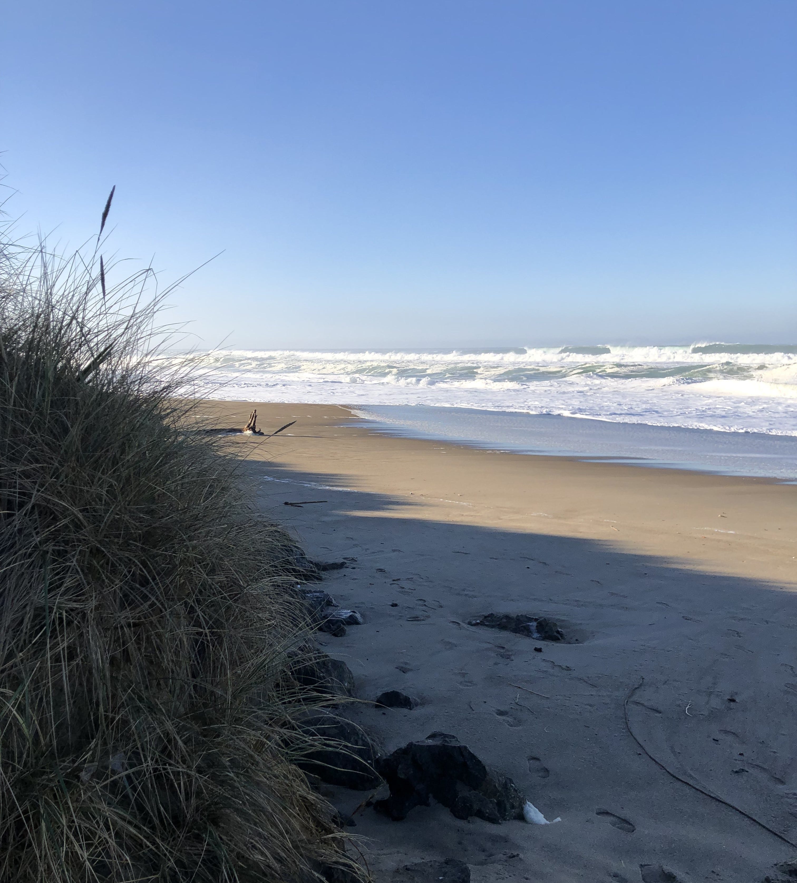 Poetic Revelations: When Life Floods In - by Monisha Mittal