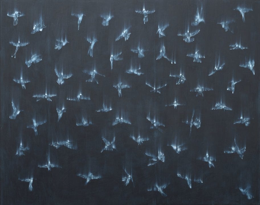 bookbear express | Ava | Substack