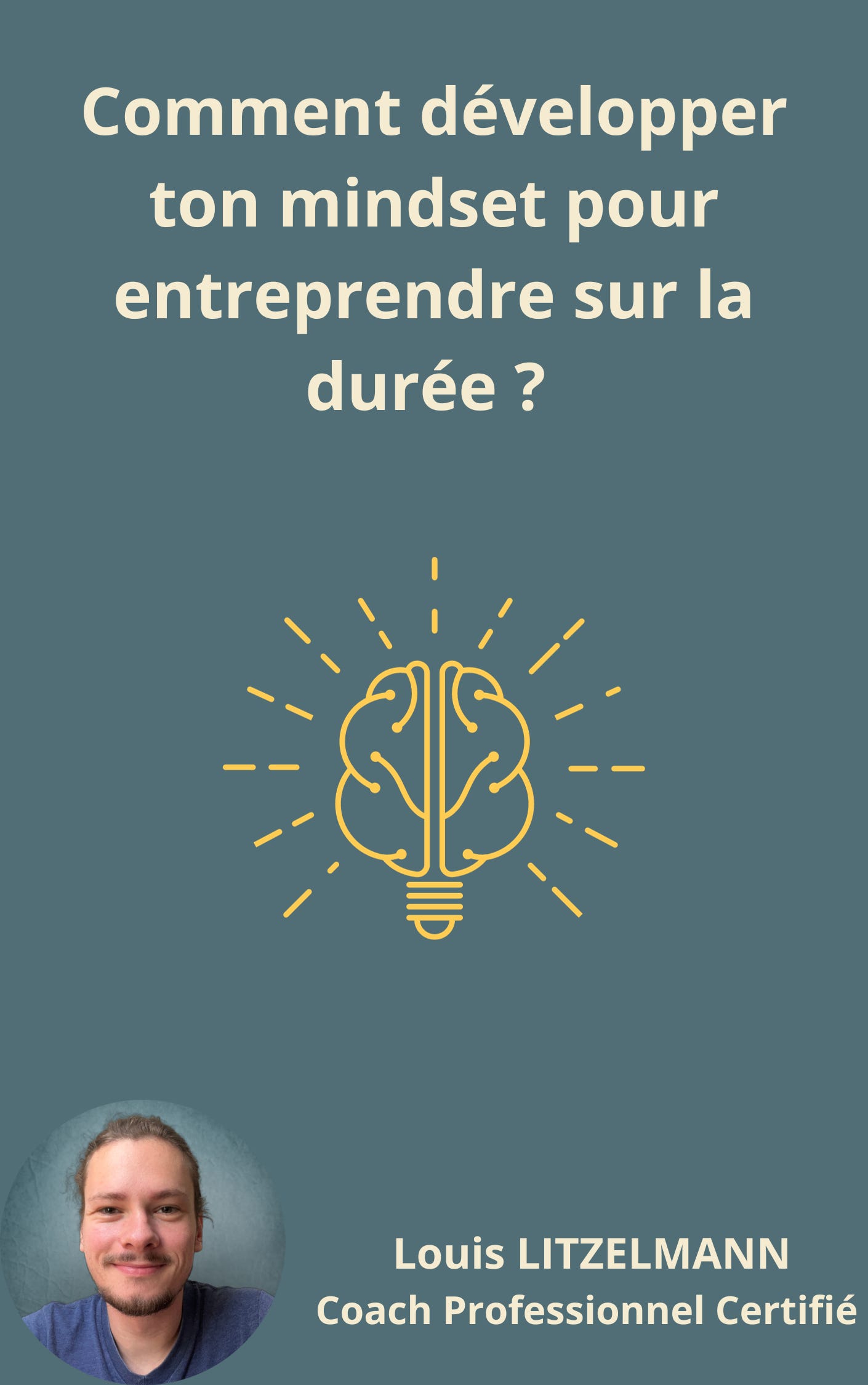 Je sors mon ebook vendredi ! - by Louis Litzelmann