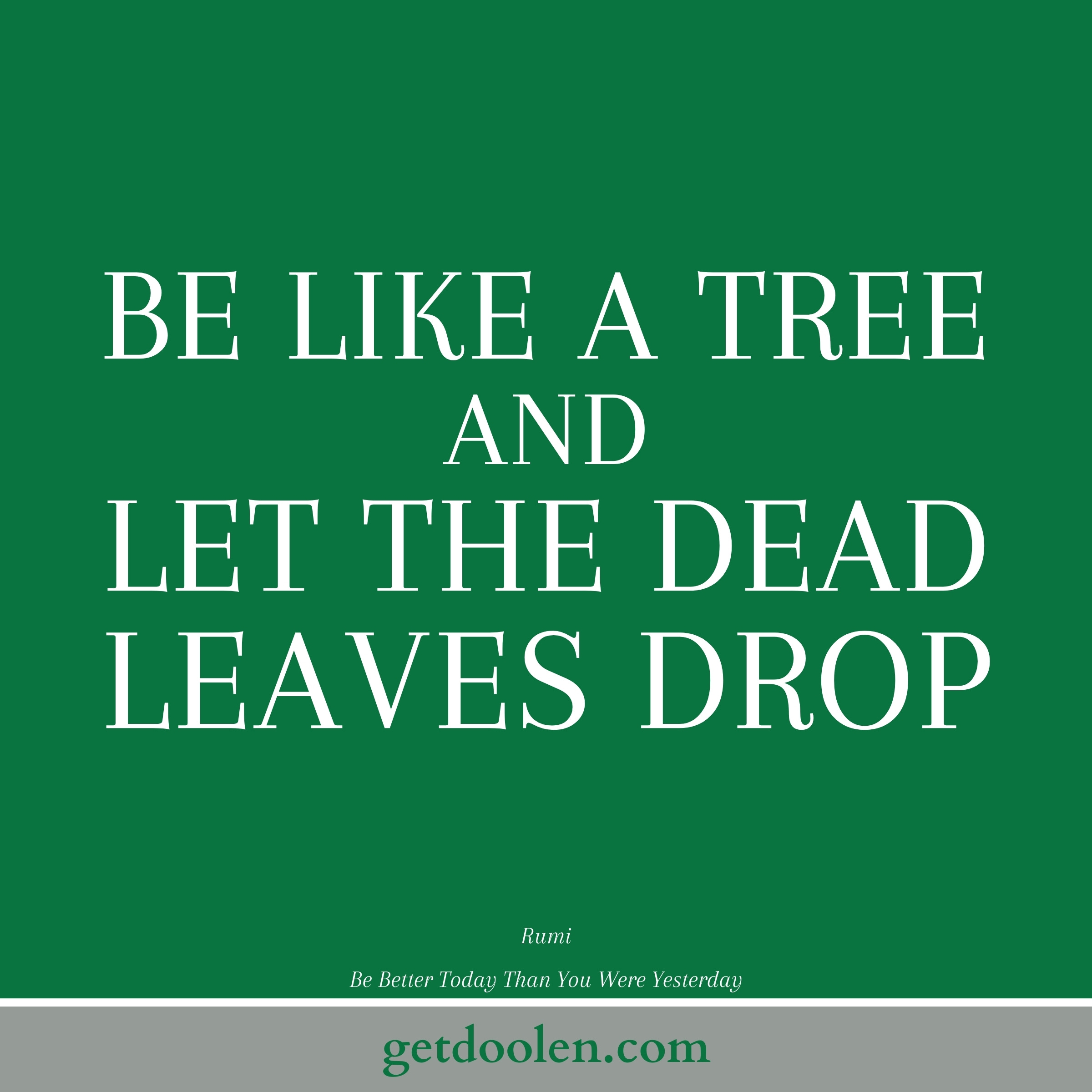 Embracing New Growth - by Jon Doolen - Jon’s Substack