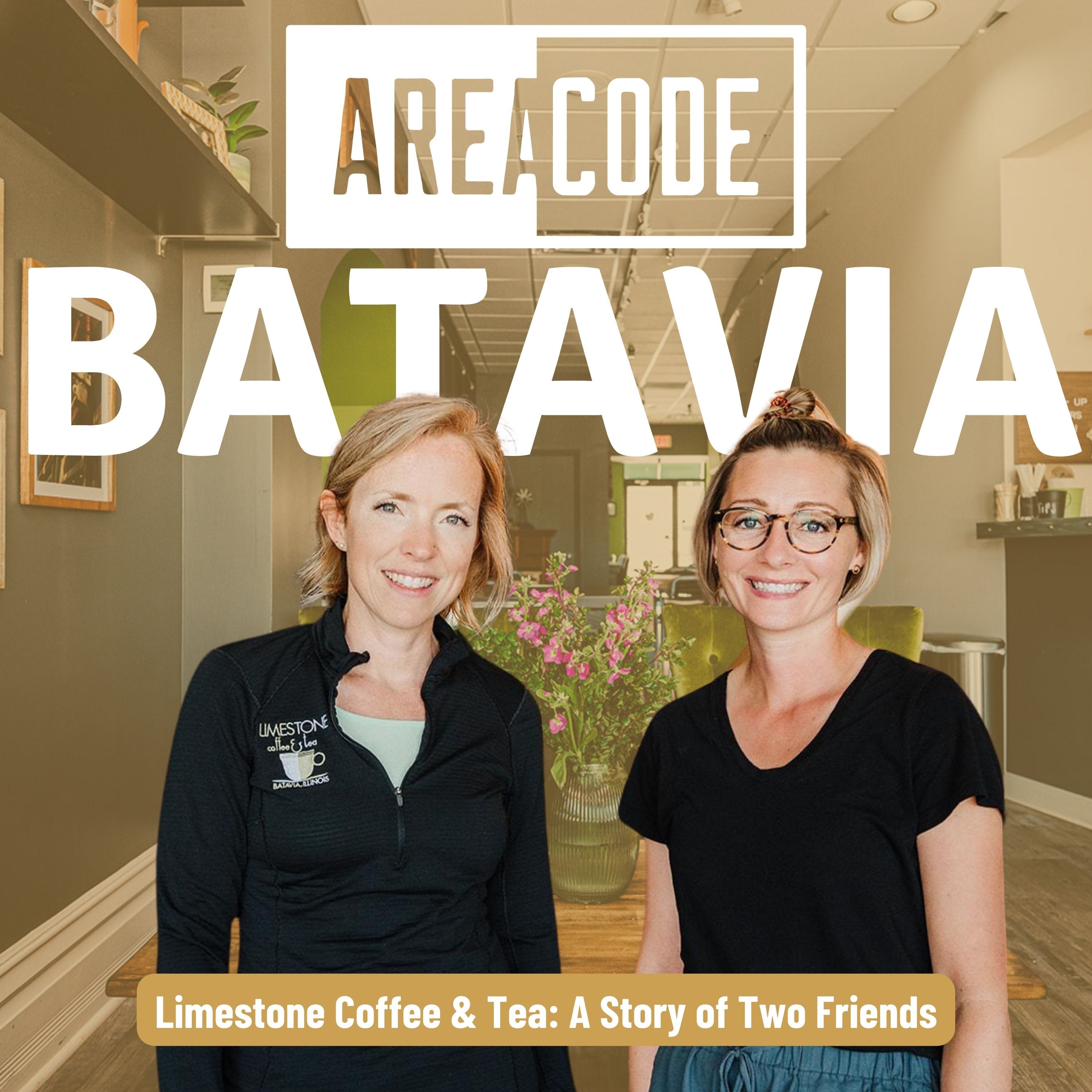 Area Code: Batavia, An Introduction - by Richard Clark