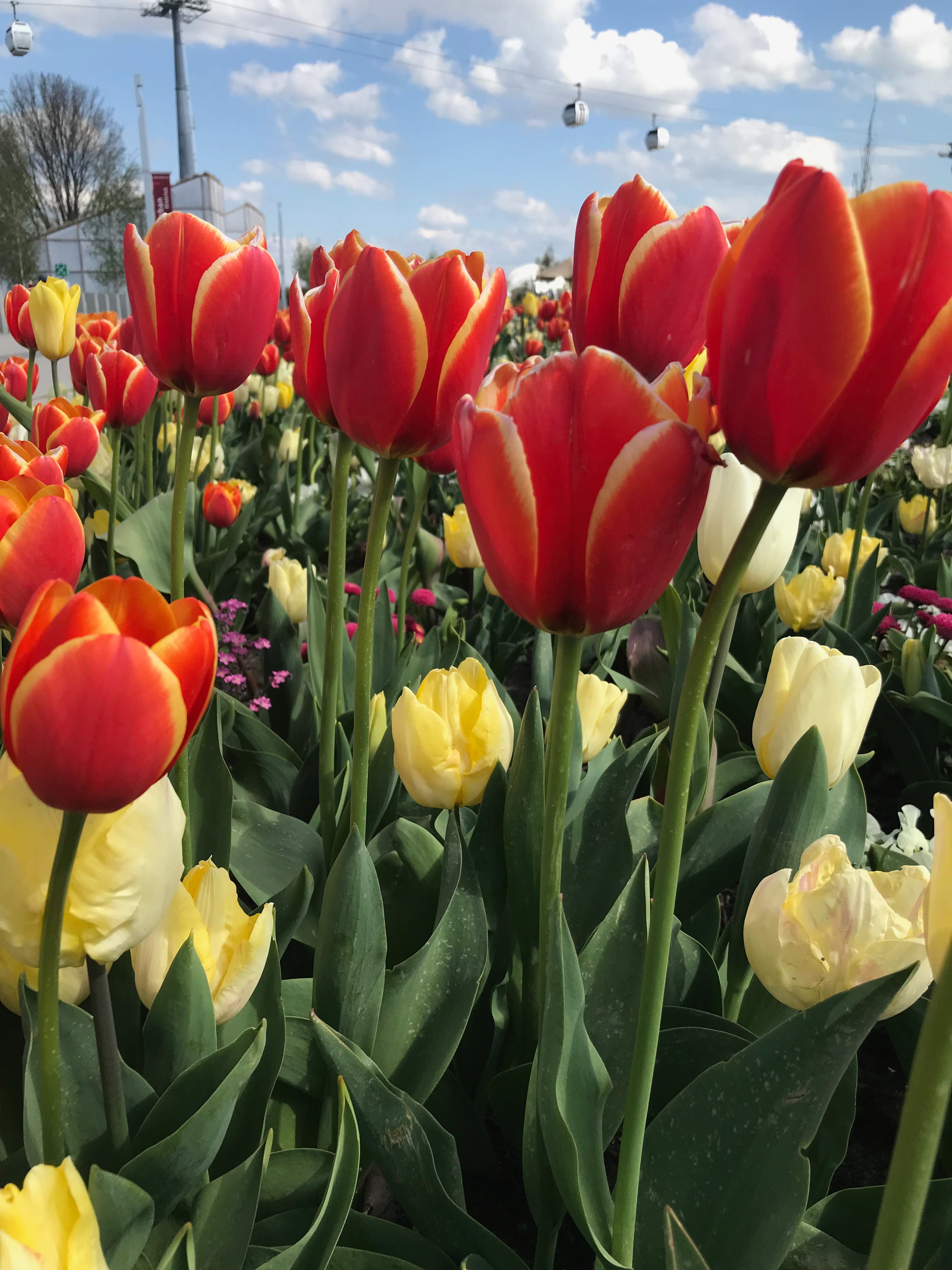 Jeffrey and Stephanie Bruner | Substack