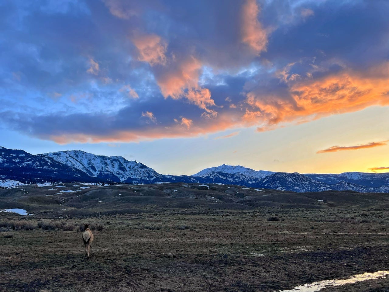 Postcards from the Open Road: Yellowstone National Park