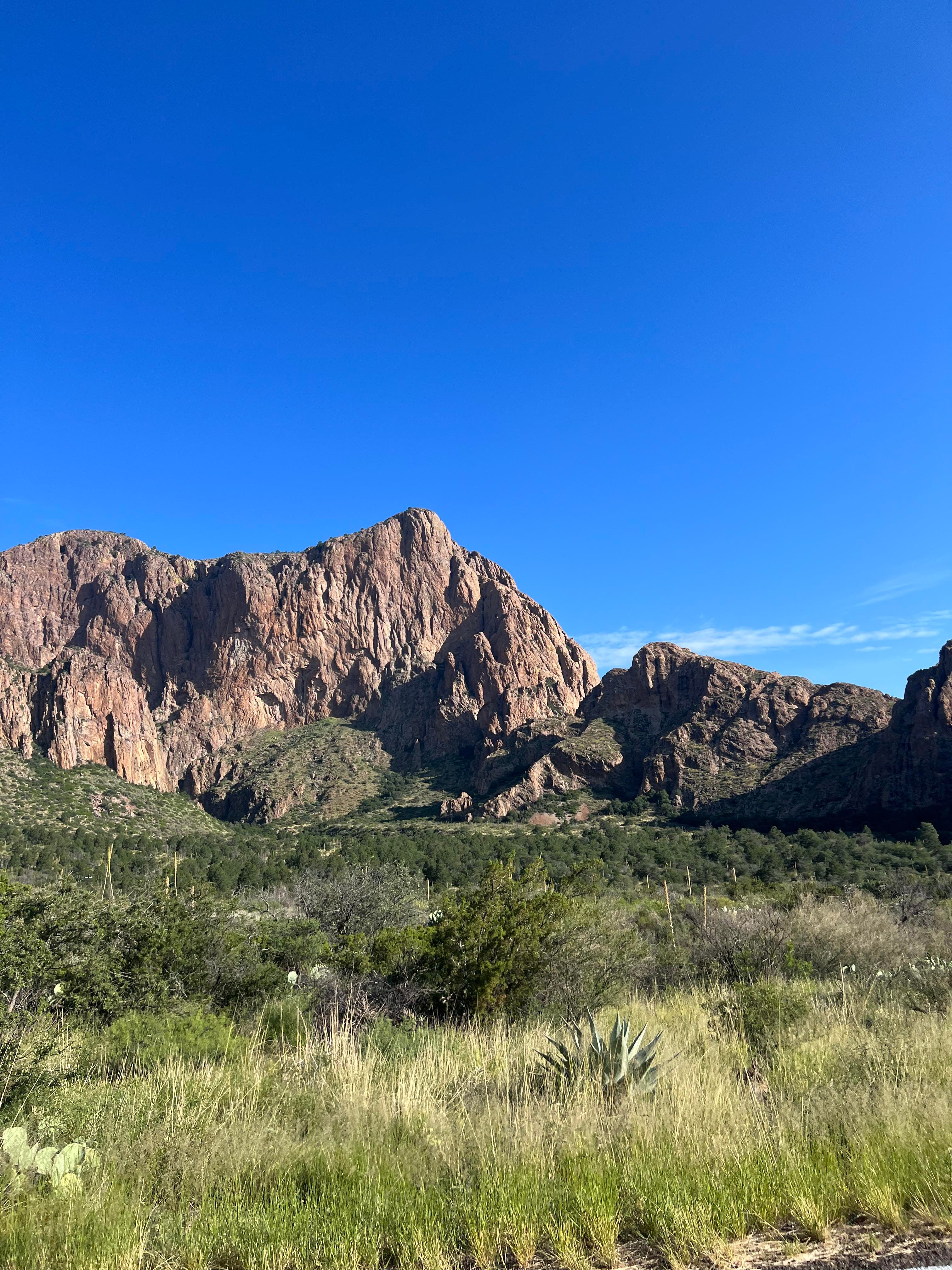 The Lone Star State - by Jacob Coughlan - Boring Touring