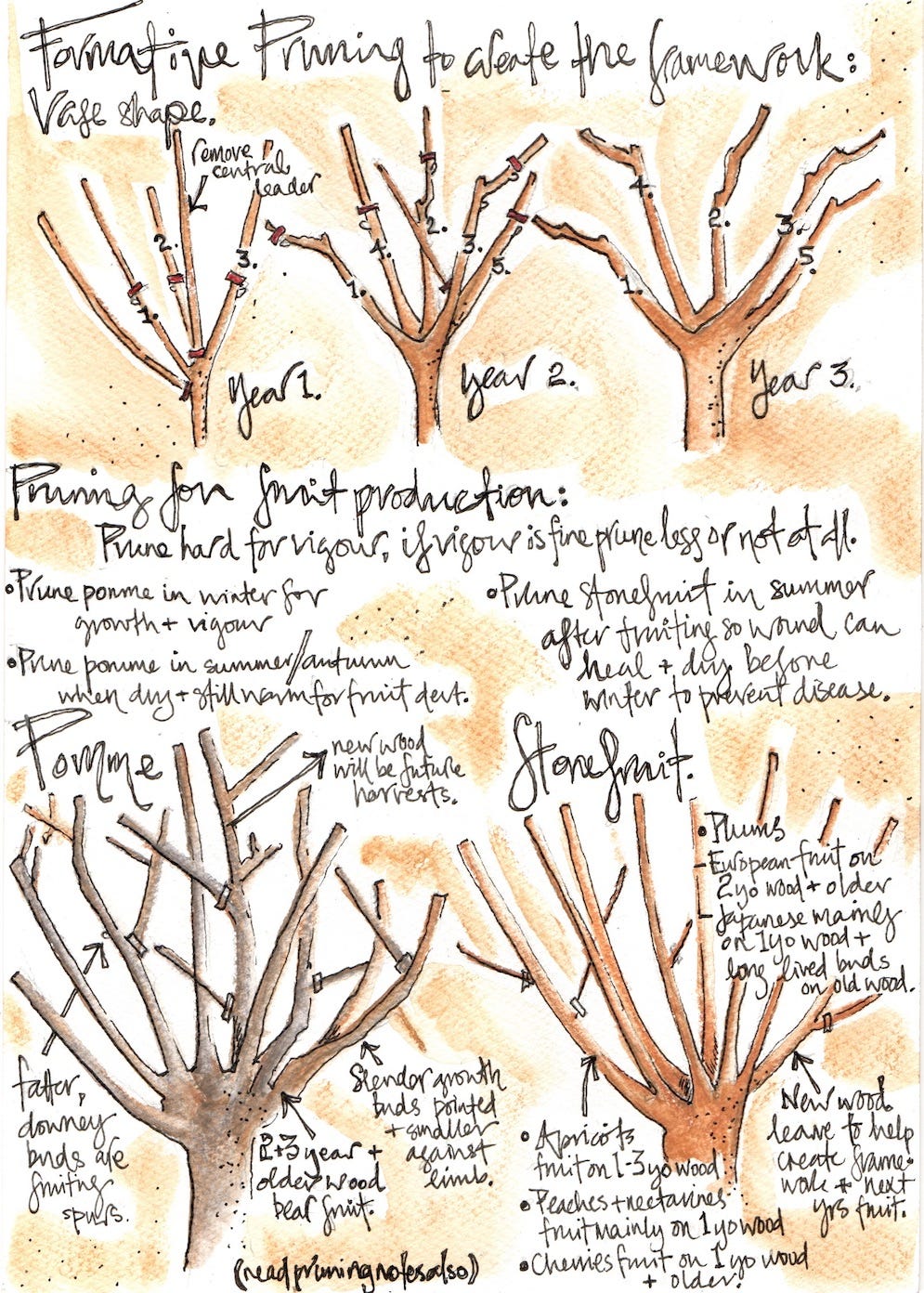 The Orchard Guide - The Garden at Moorfield
