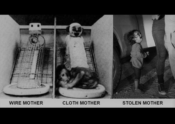 America Is The Wire Mother - by Doktor Zoom - Wonkette