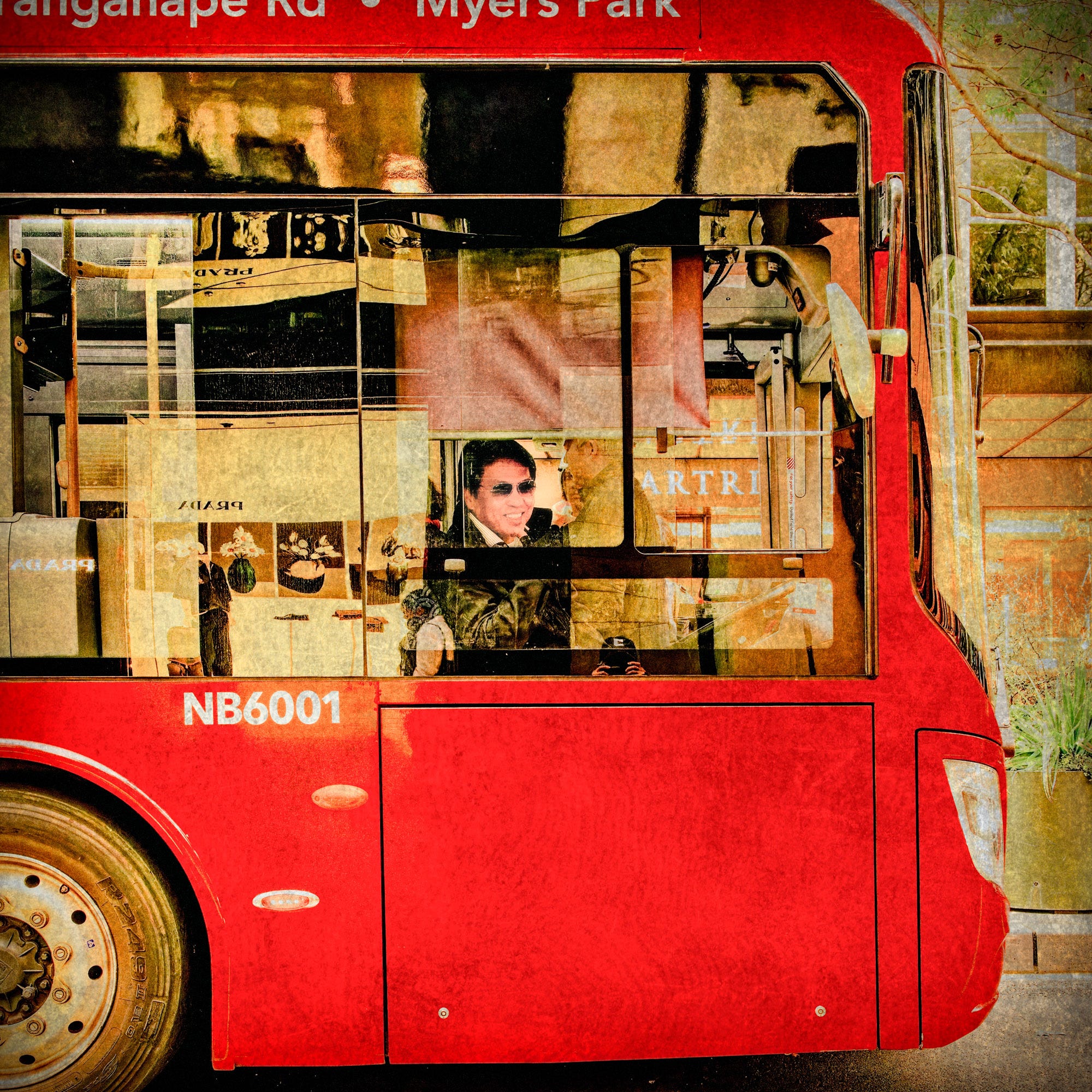 NZ Visual Diary - entry 271 - by Rich Greissman