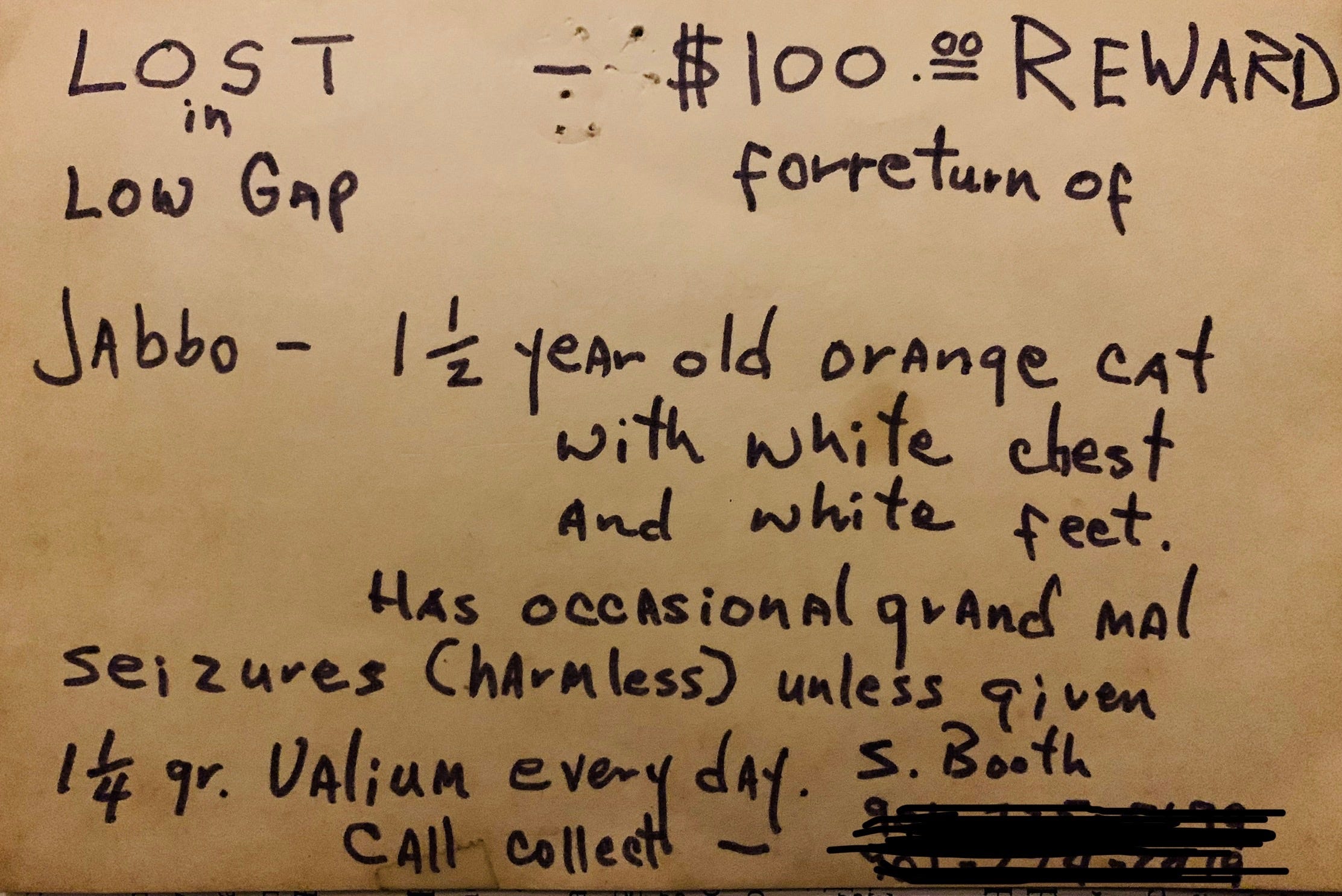 From a Letter to a Friend - by Stanley Booth - Lydwine