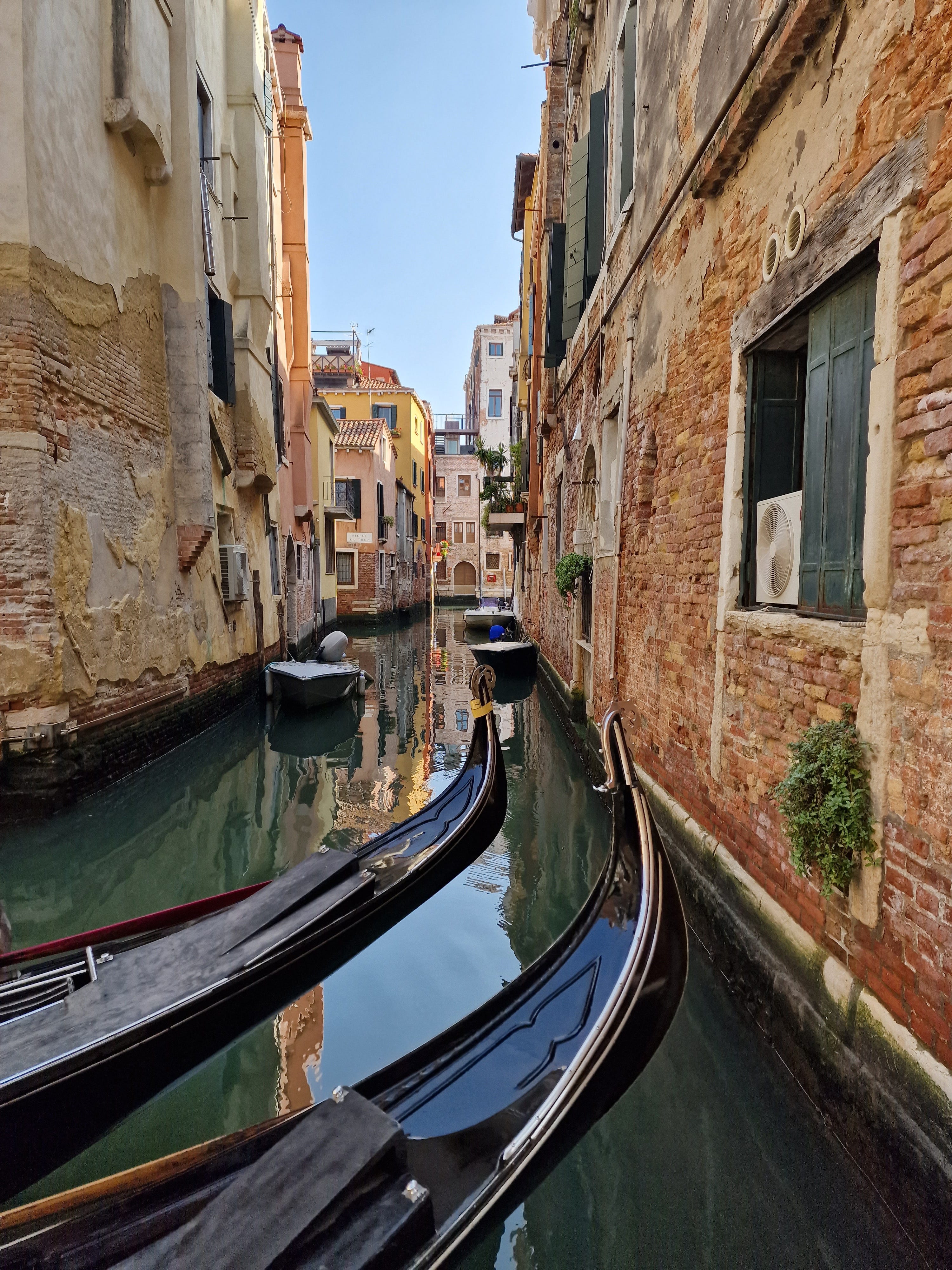 Snippets of Summer - by Sinù Fogarizzu - Dash of Prosecco