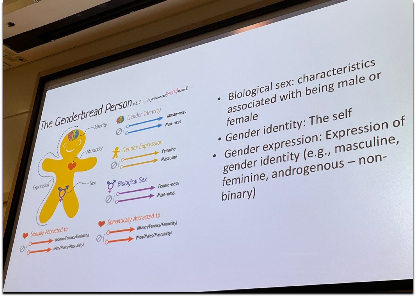 The Problems With ‘Gender Identity’ - by Lisa Selin Davis