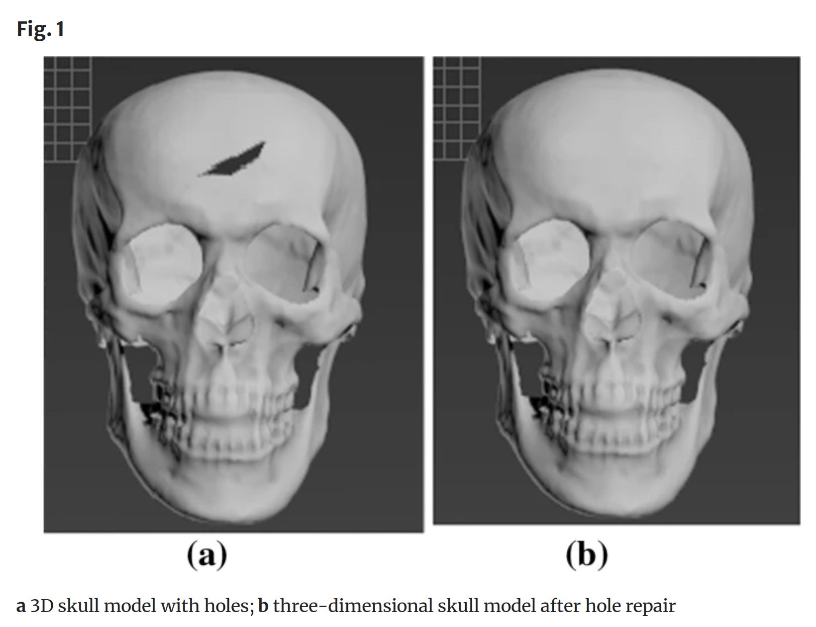 Hispaniolan craniometry - by Emil O. W. Kirkegaard