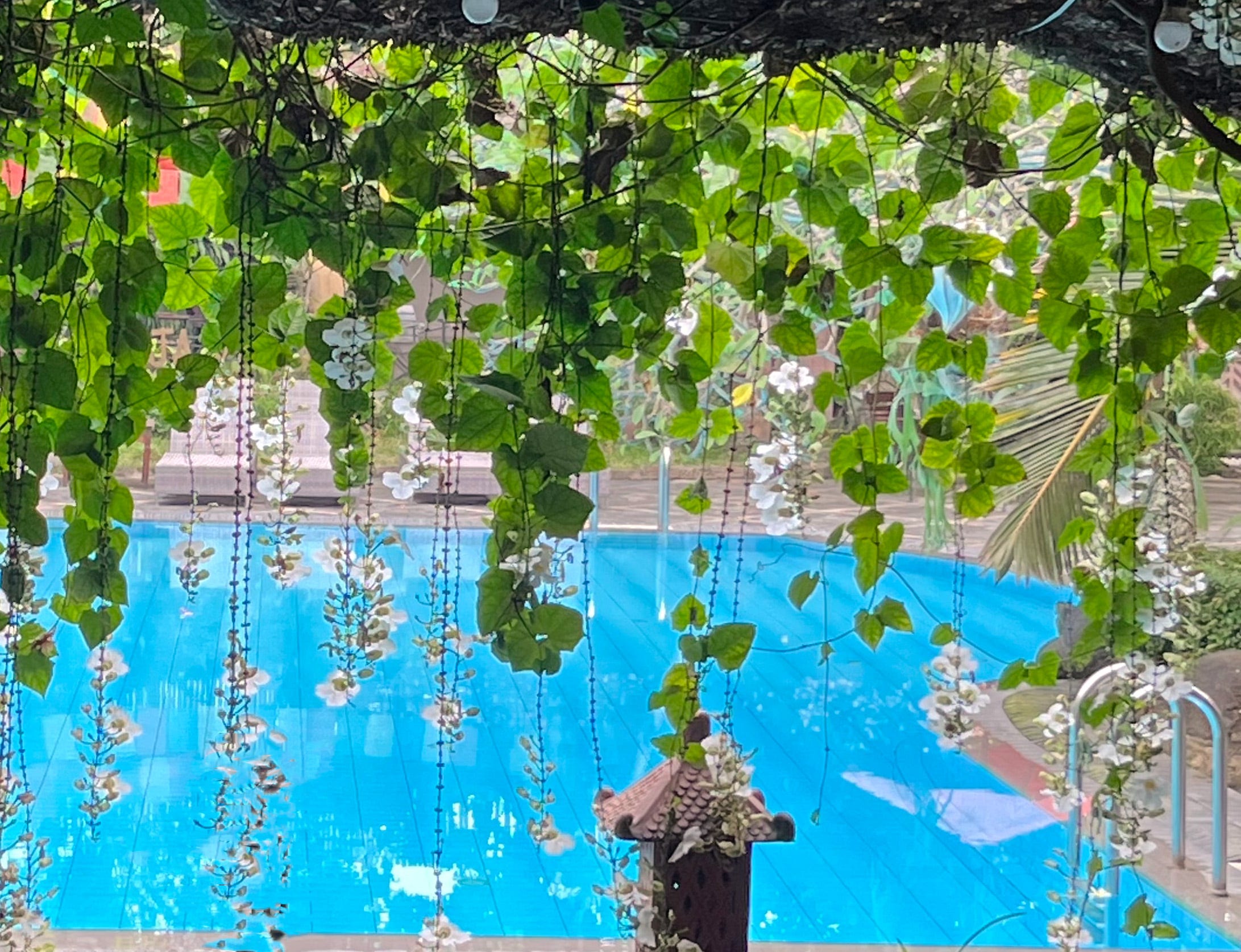 New Year's pool - by Suzan Piper - Suzan’s Newsletter