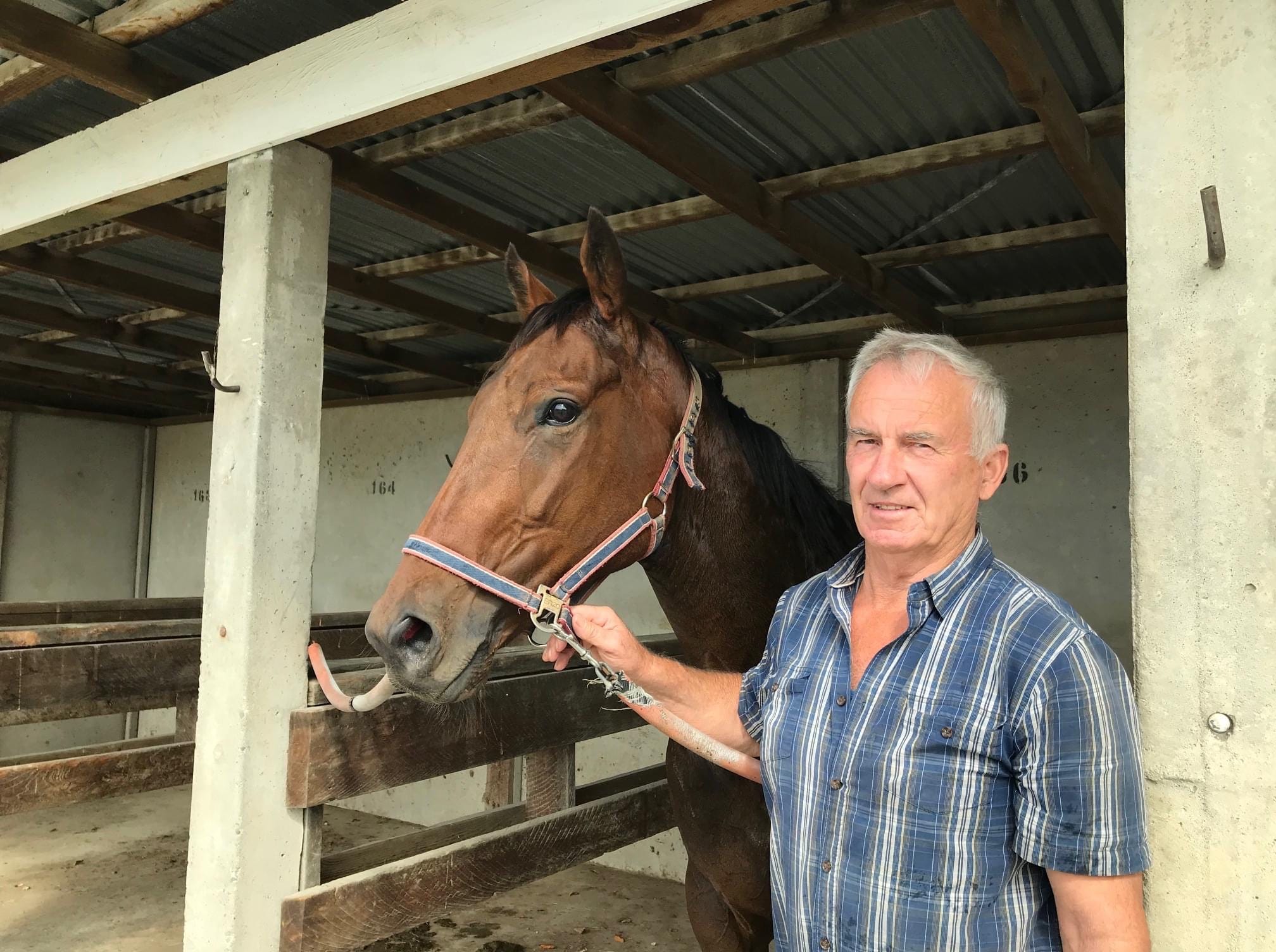 Gentle Ben, a winning chance at Gore