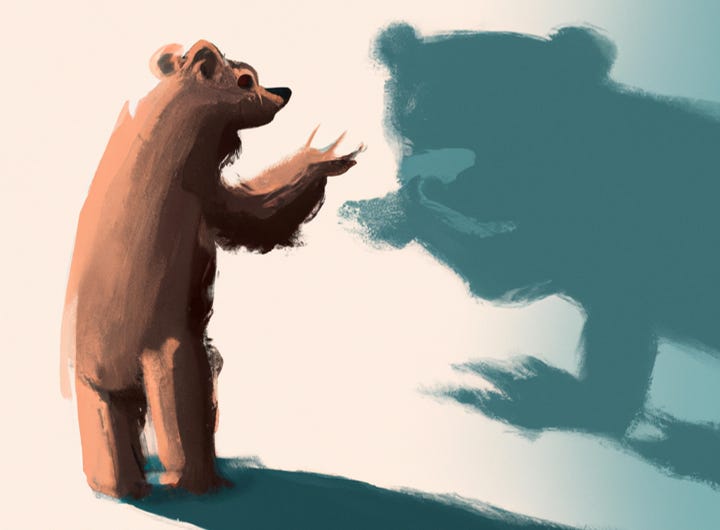 Shadow Puppets - The Last Bear Standing