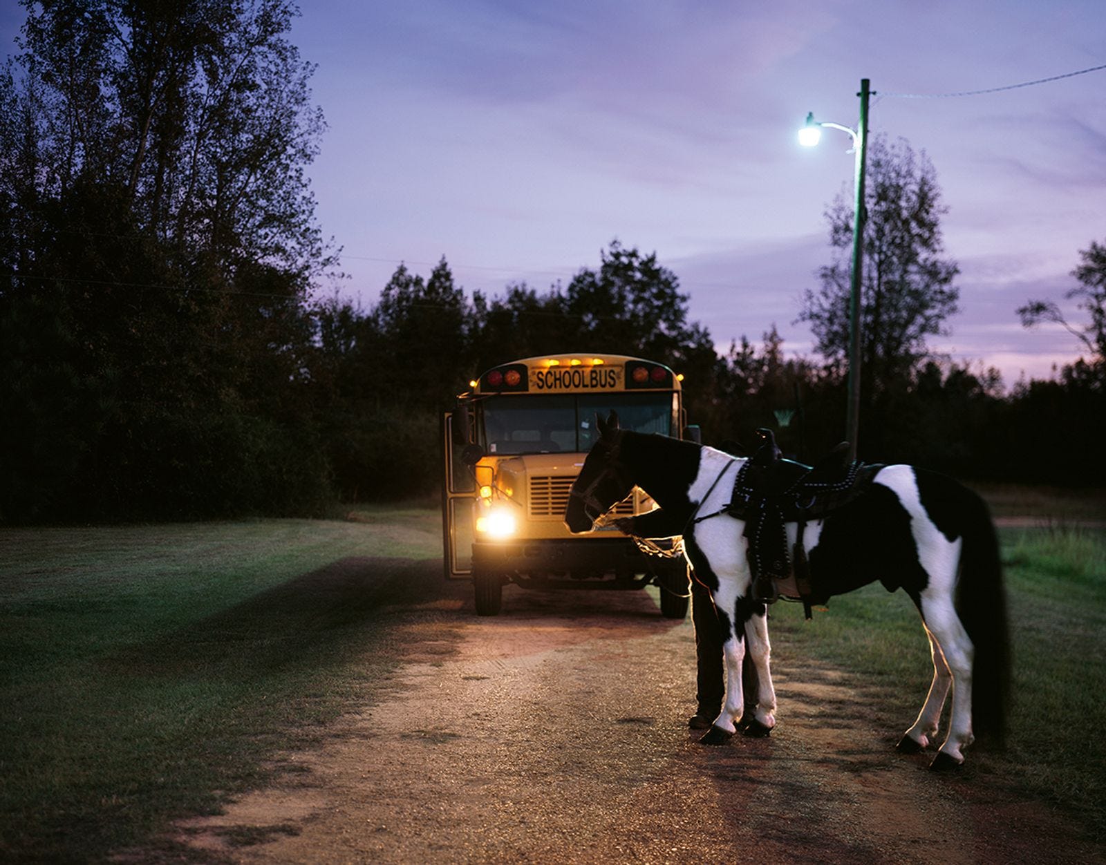 SCARY COOL SAD GOODBYE 55 - by Meaghan Garvey