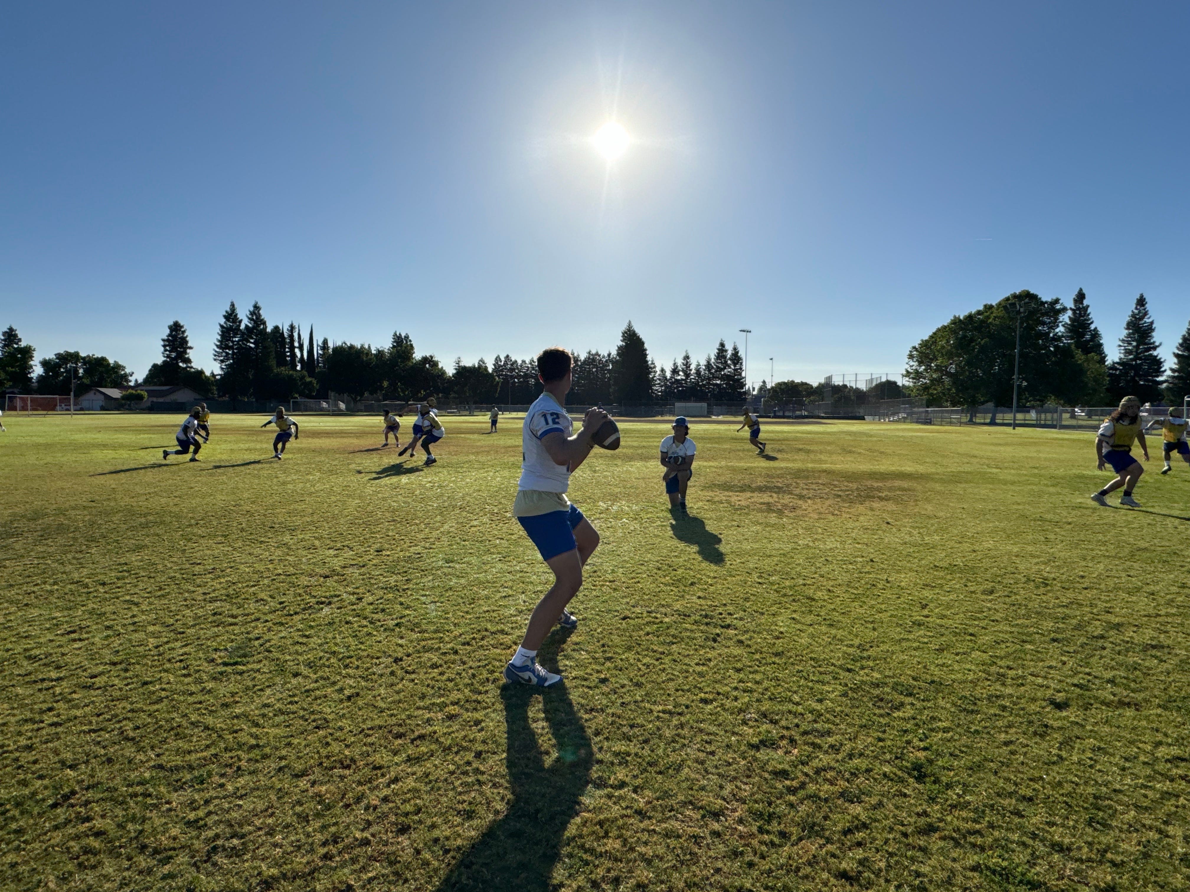 Canzano: An early look at a blooming Rose