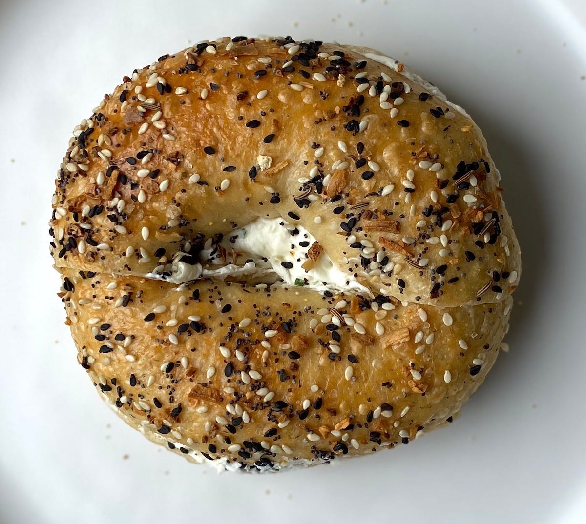 Second Schmears: Revisiting Old Salt Fish & Bagels