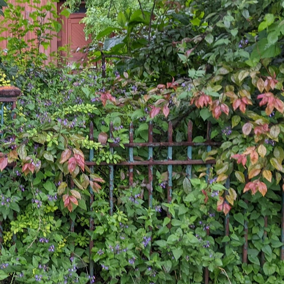 Maryann’s Substack subscriber chat