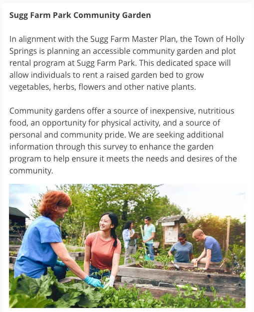 A Community Garden - by Kim Gr