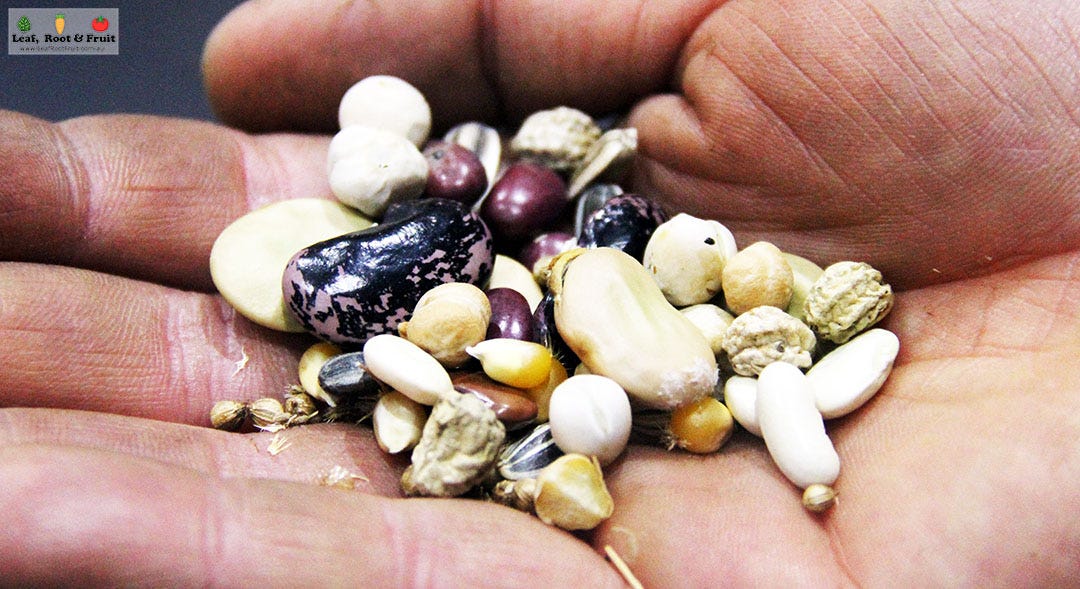 Selecting Seeds To Grow By Duncan Cocking