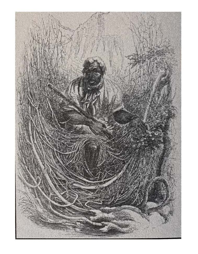 Masterless Slave Societies in the Americas