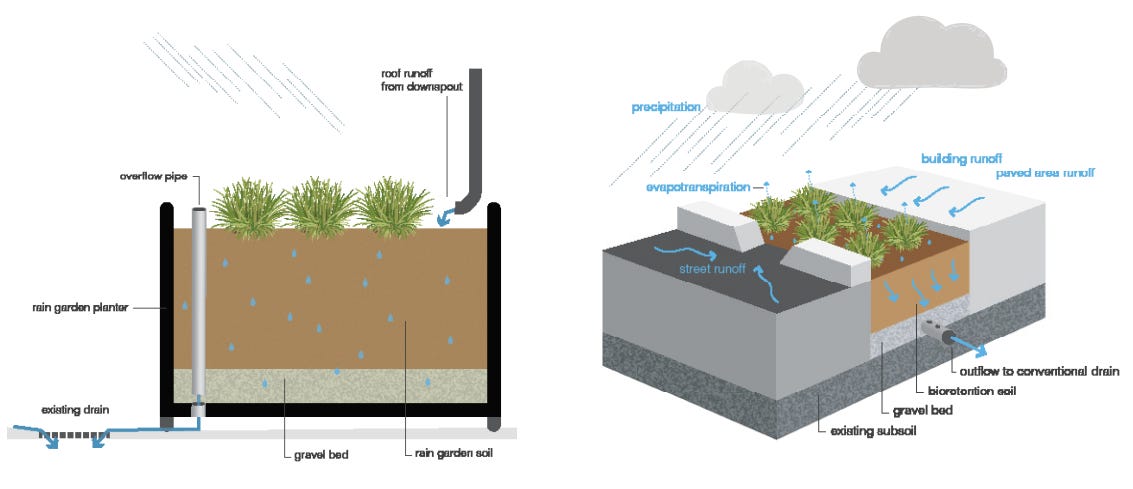 #95 Jardines de lluvia - by Andrés Martínez
