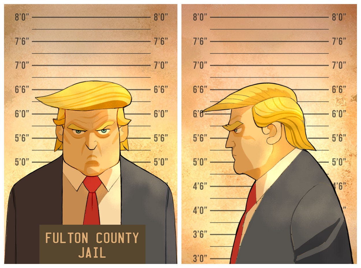Trump Mugshot (concept art) - by Tatsuya Ishida