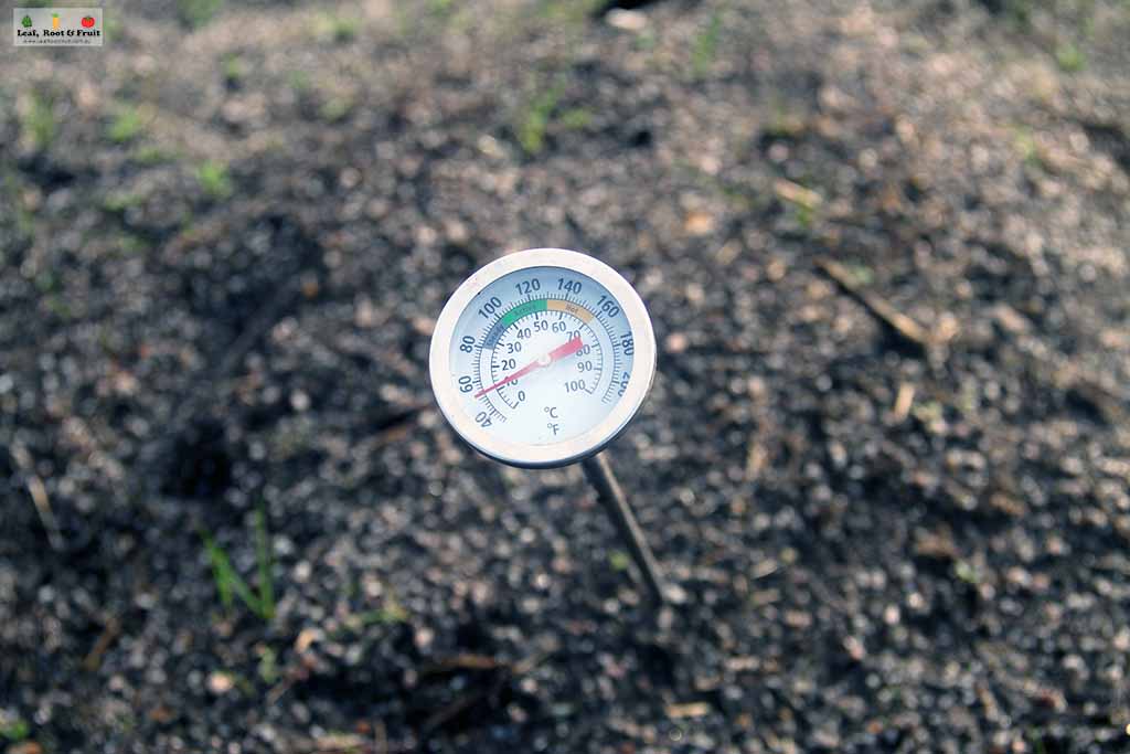 Planting Vegetables: How to get the Timing Right