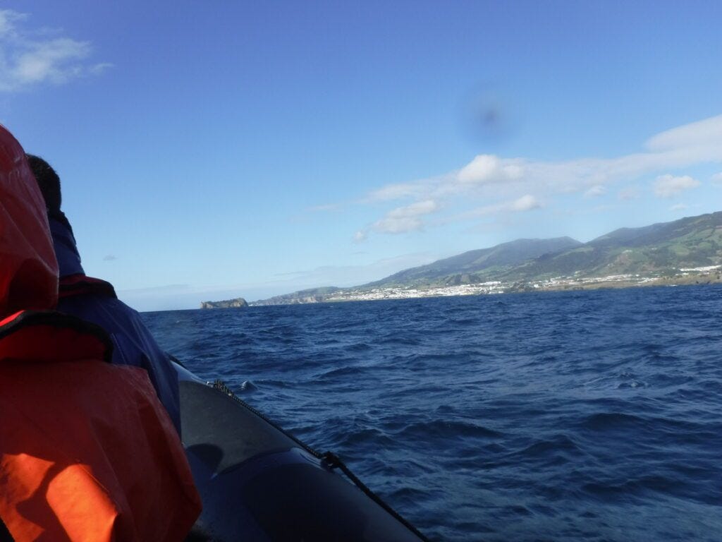 How to Experience Whale Watching from Ponta Delgada