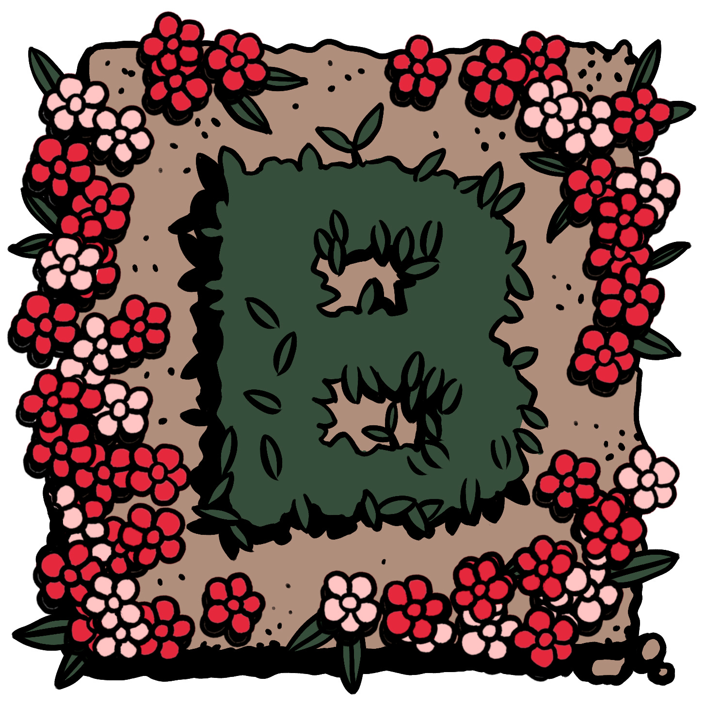 The Ballygobbard Project | Substack