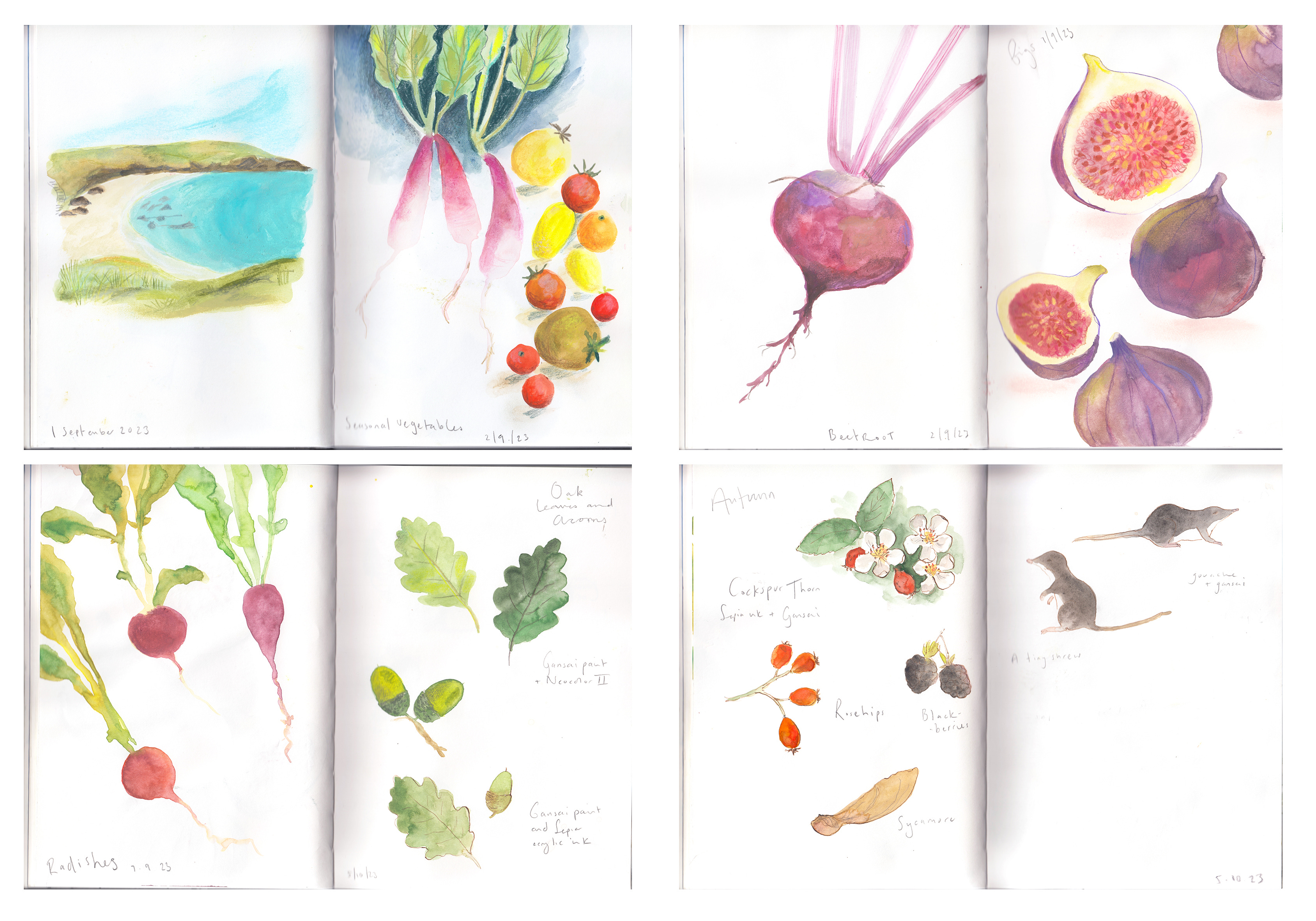 Making Sketchbook Art - by Julia Crossland