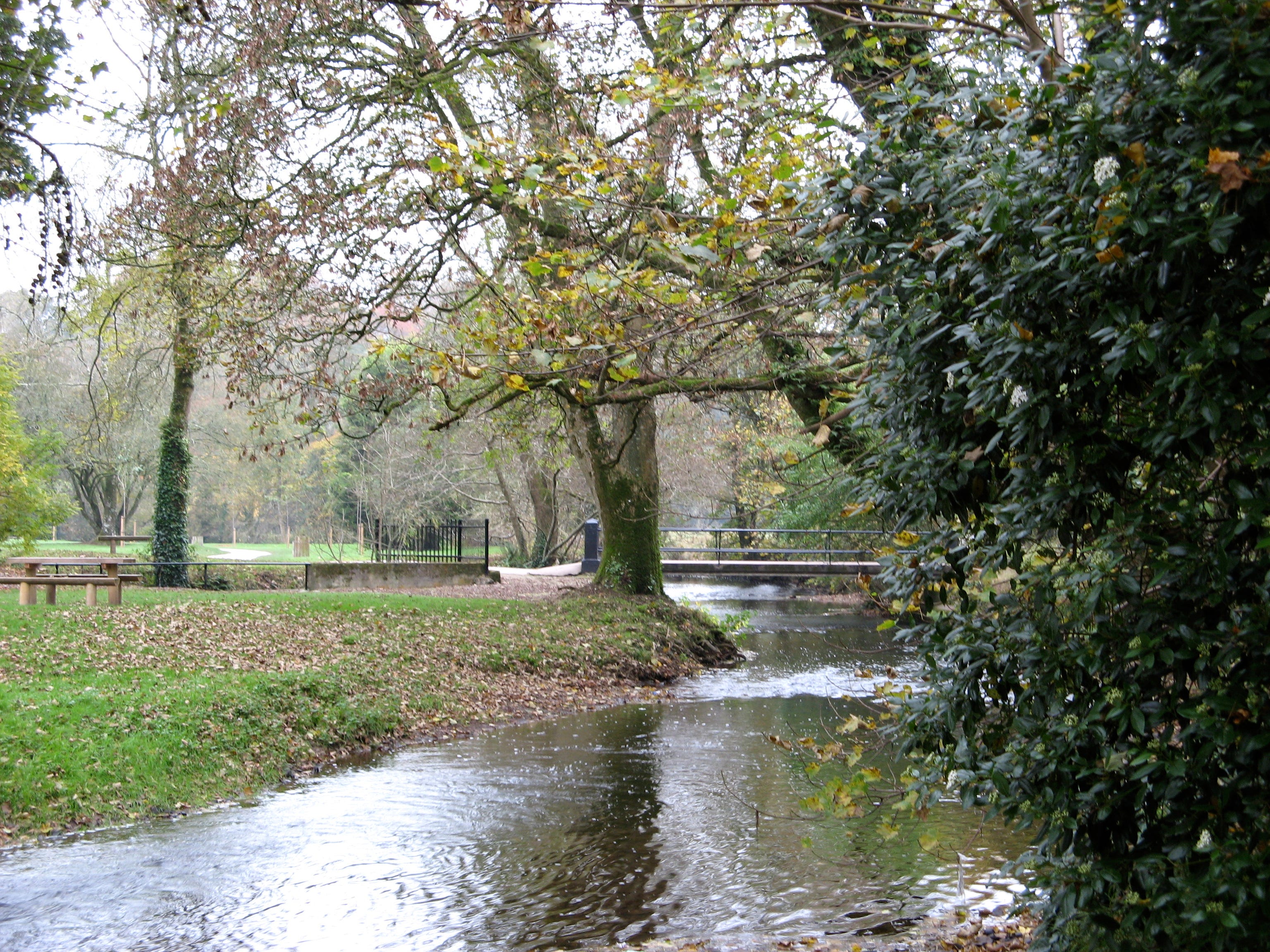 Poem, Shadow, and Light - by Janet Salsman